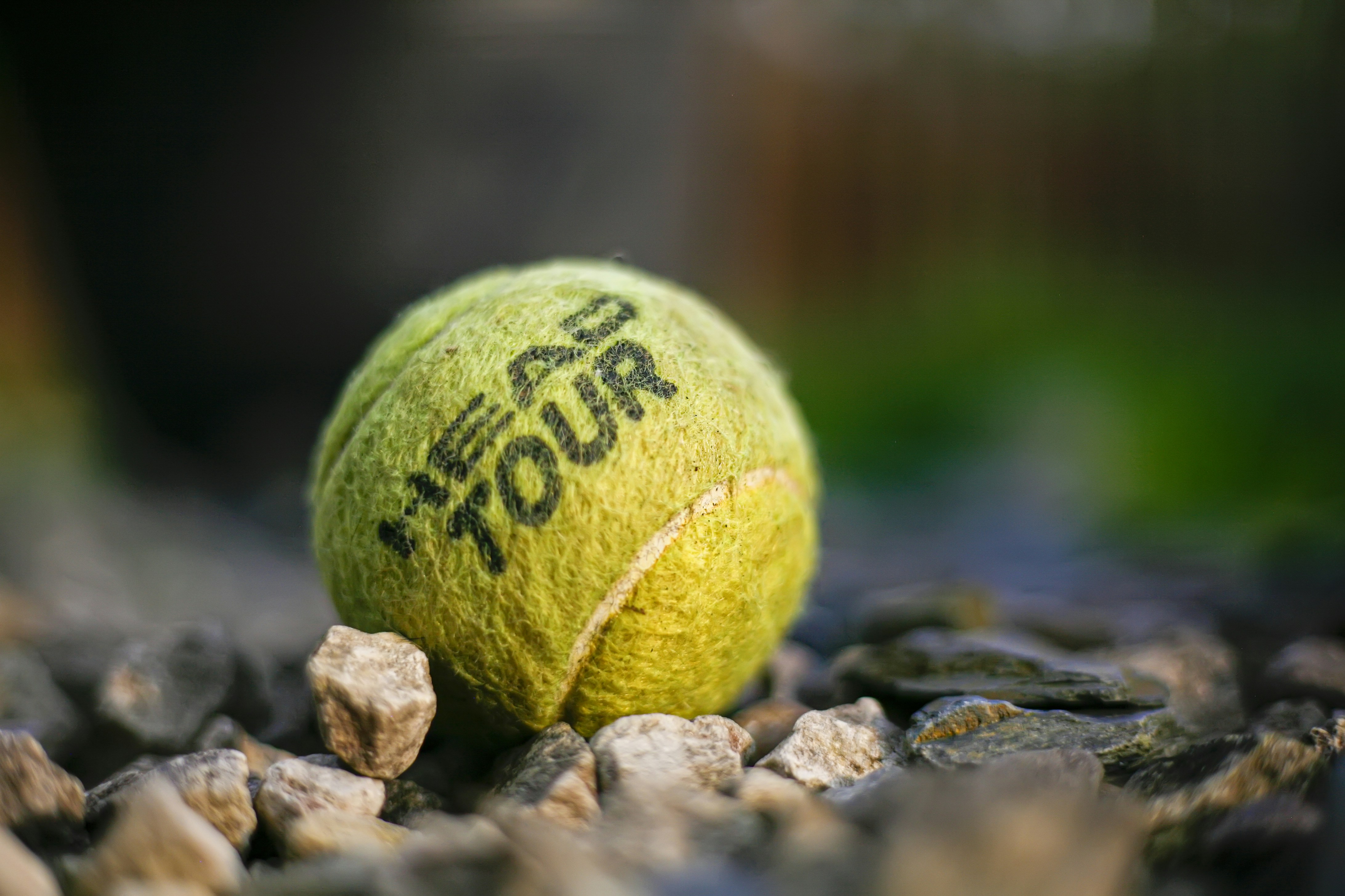 A tennis ball that is sitting on some rocks photo – Free Tennis Image ...