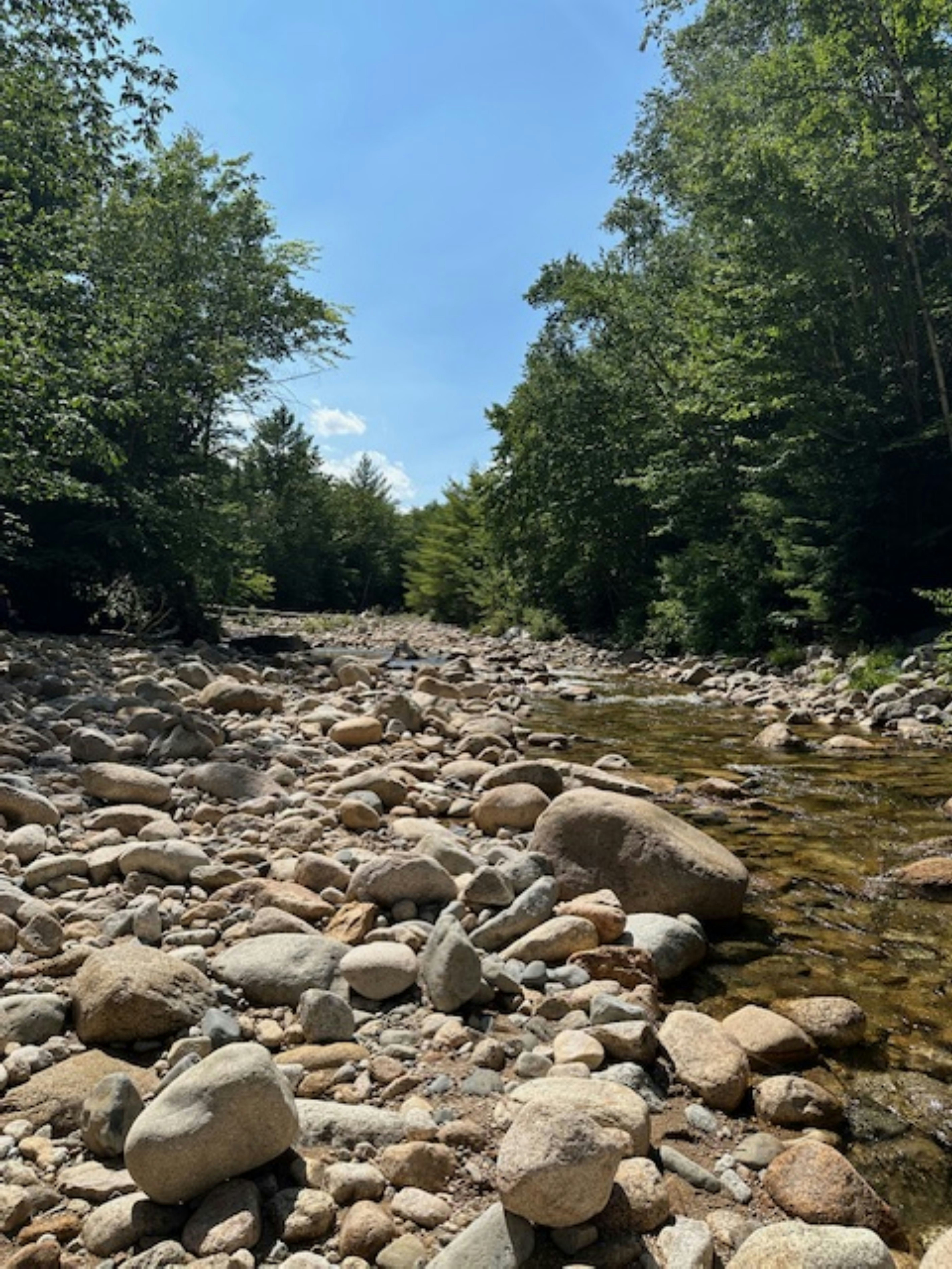 A river running through a forest filled with lots of rocks photo – Free ...