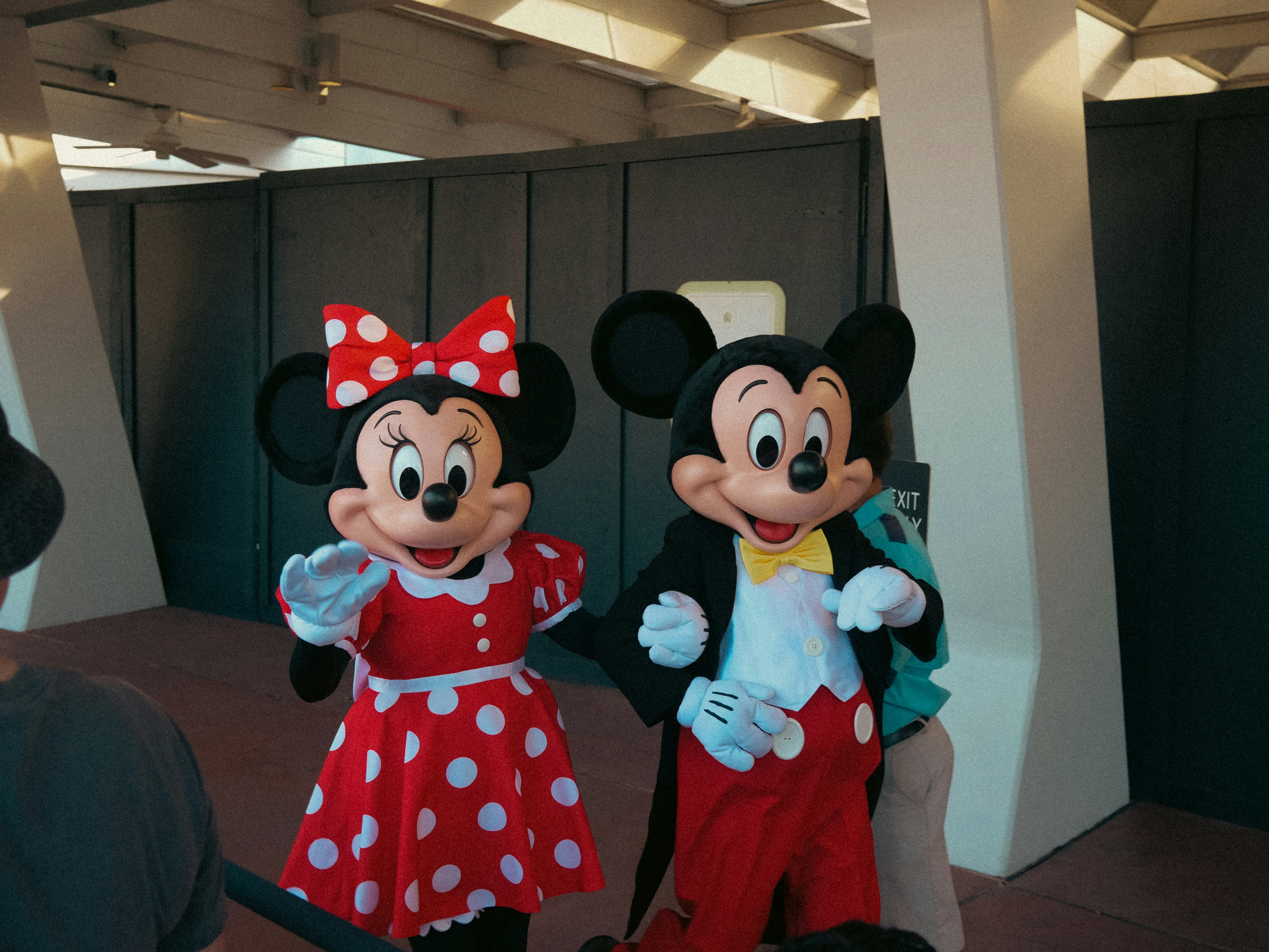 A couple of mickey and minnie mouse characters photo – Free Human Image ...