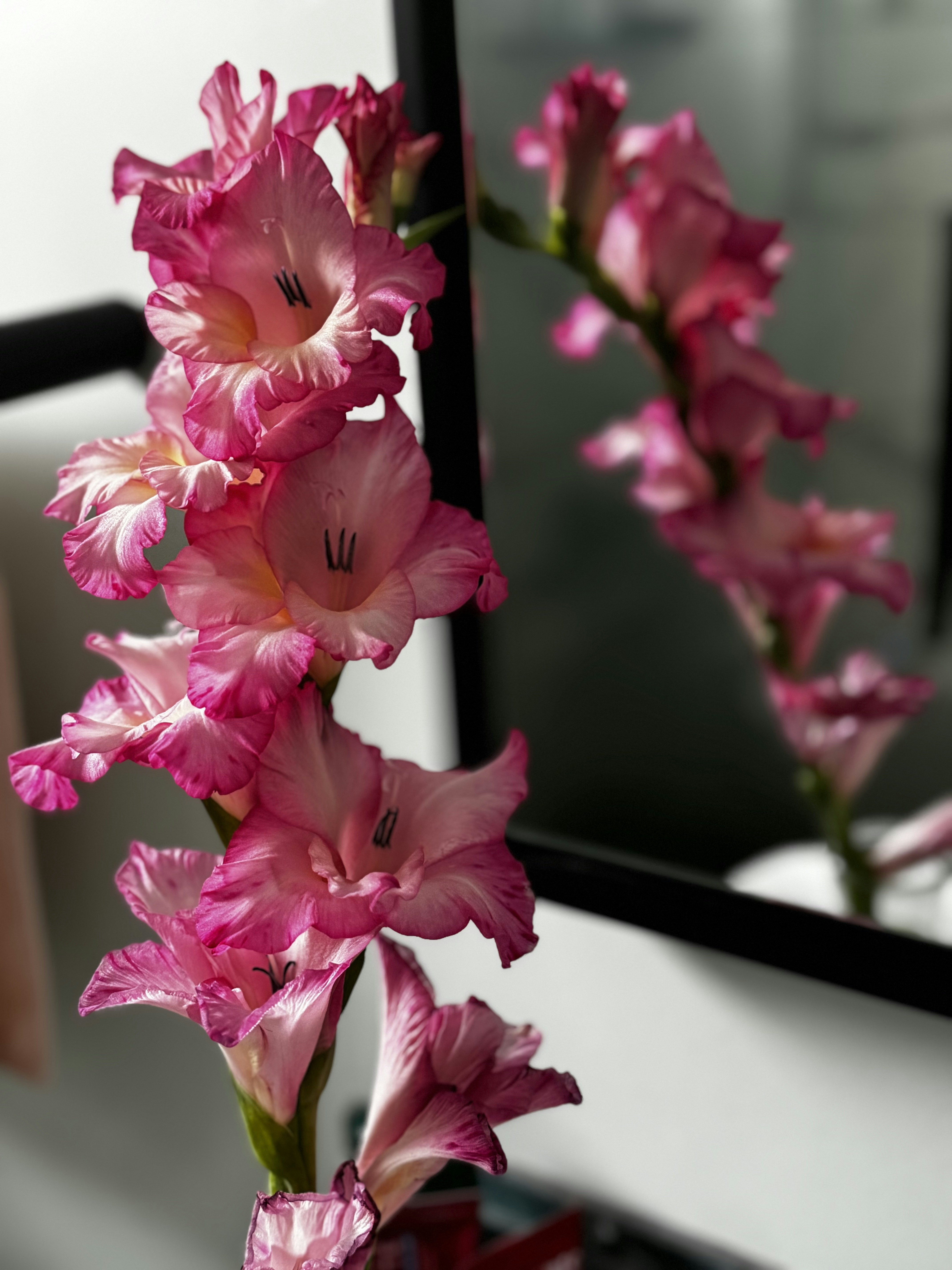 Theresa Lee-Whiting (@tleewhiting) | Communauté photos Unsplash