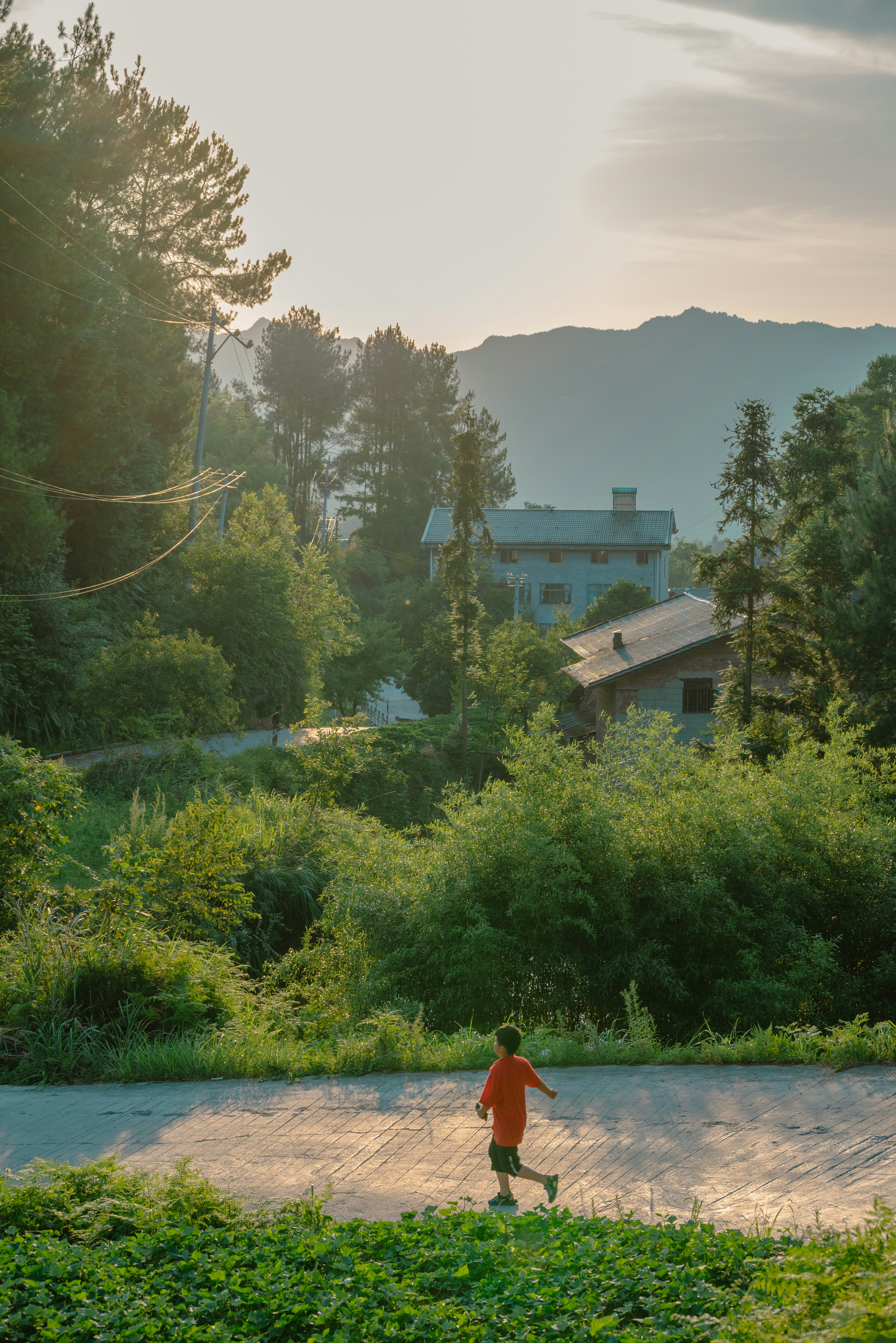On the Sunlit Slope: A Child Walks a Quiet Hillside Path