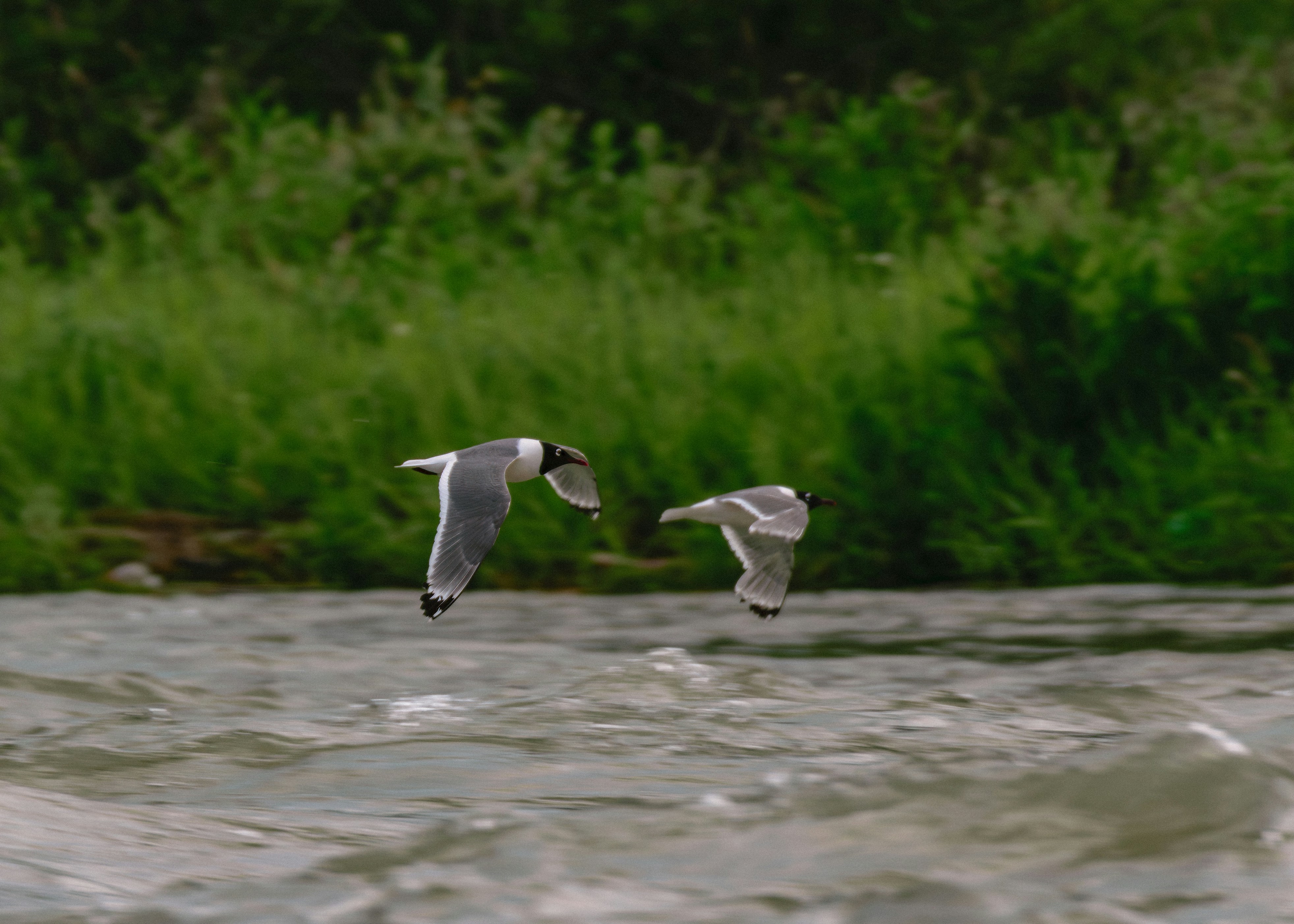 Photo by Bernard Guevara with Nikon D5300