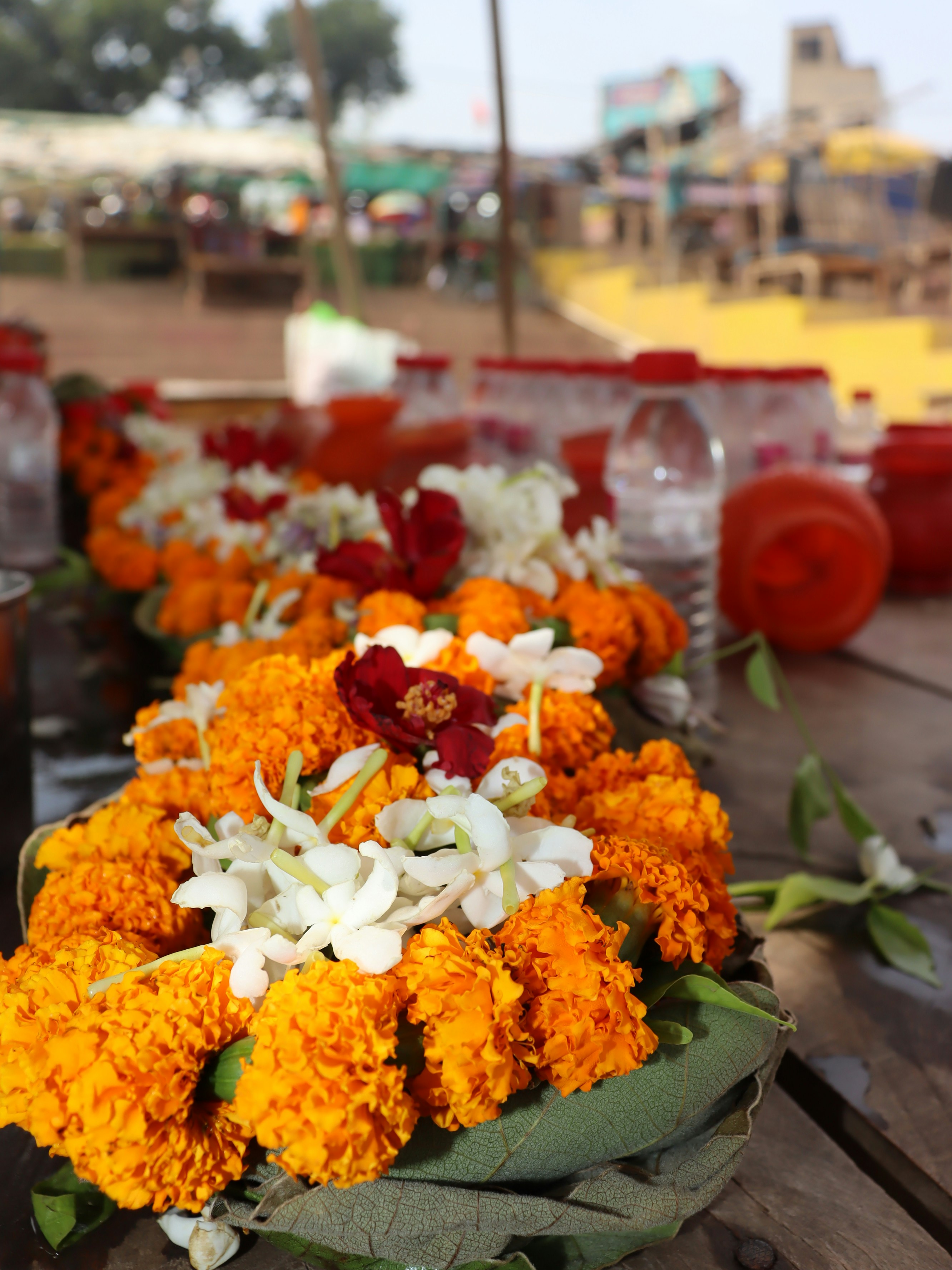 Marigold Corridor: A Floral Bounty in the Market Deck