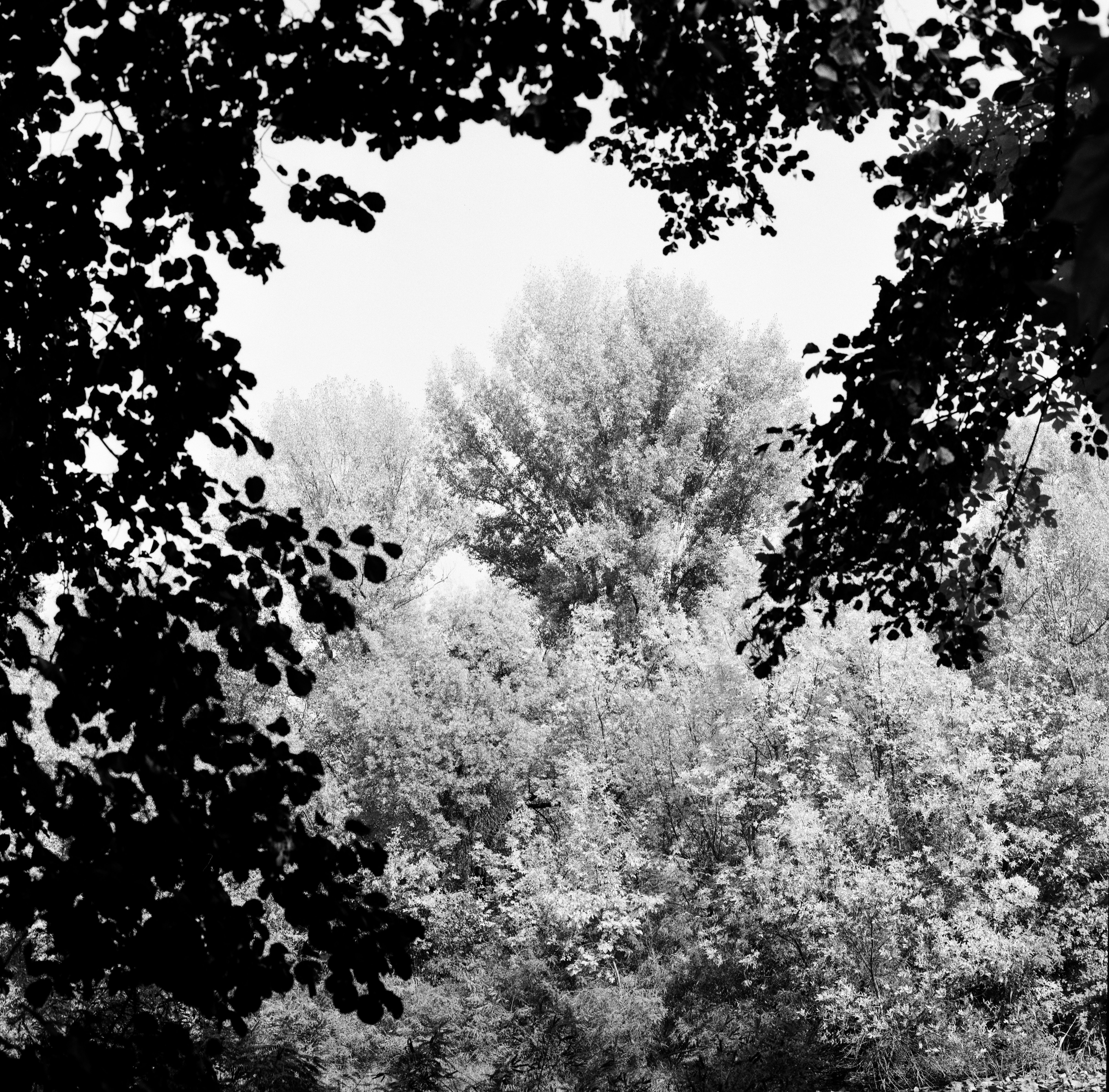 Dmytro (@polymorpheuz) | Unsplash 사진 커뮤니티