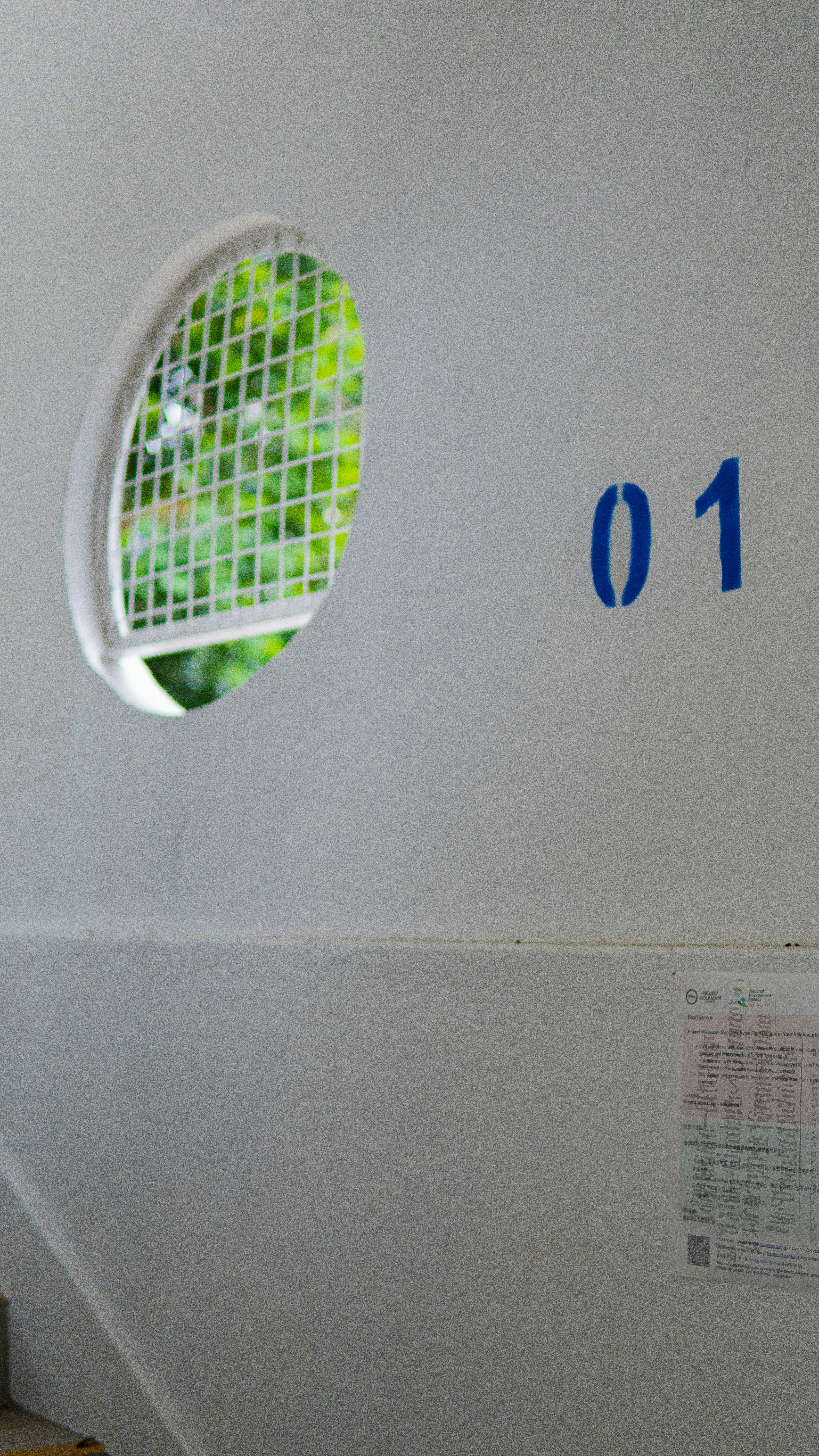 Circular View: A Glimpse Through the Grid
