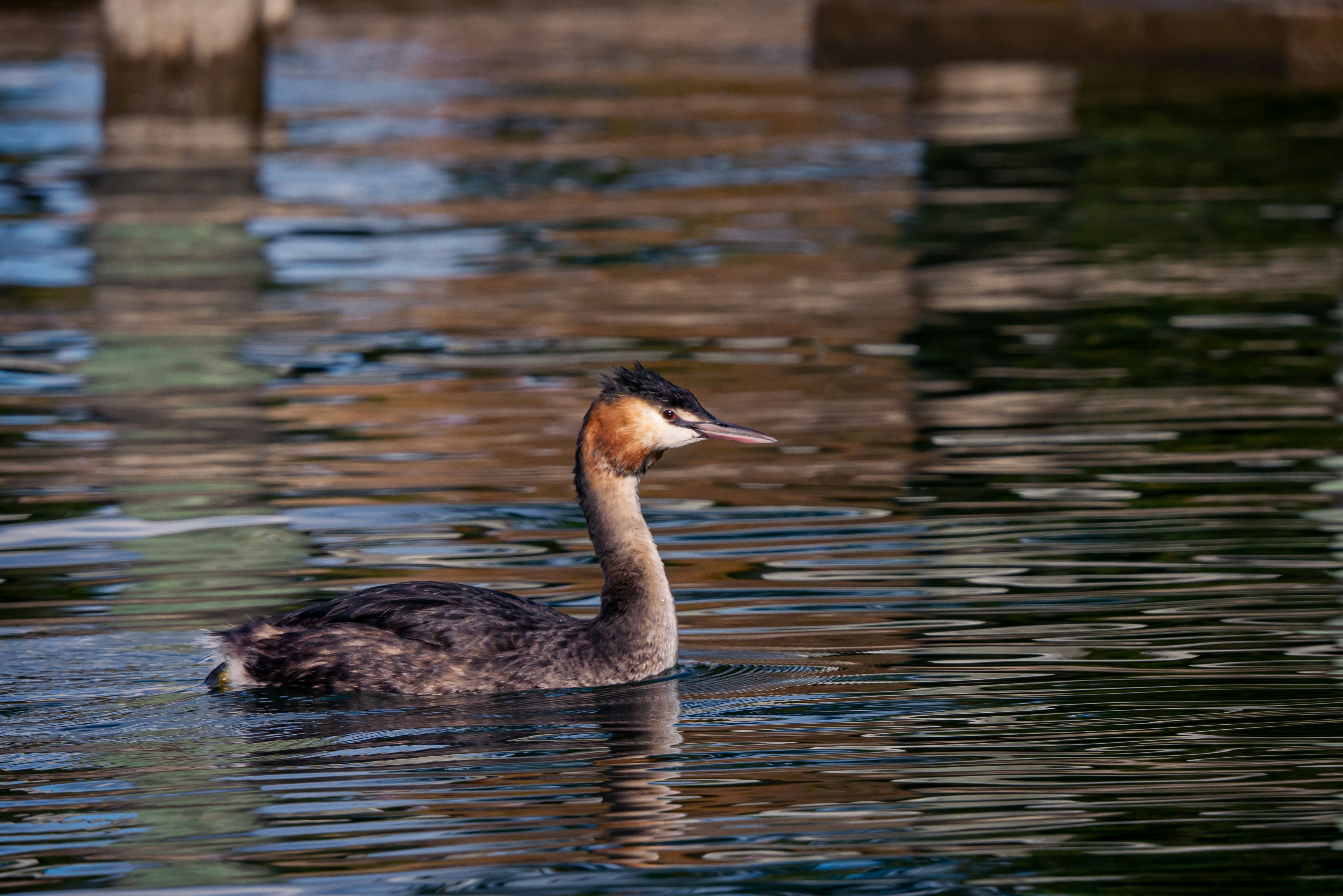 Photo by Katelyn G with Panasonic Lumix G7