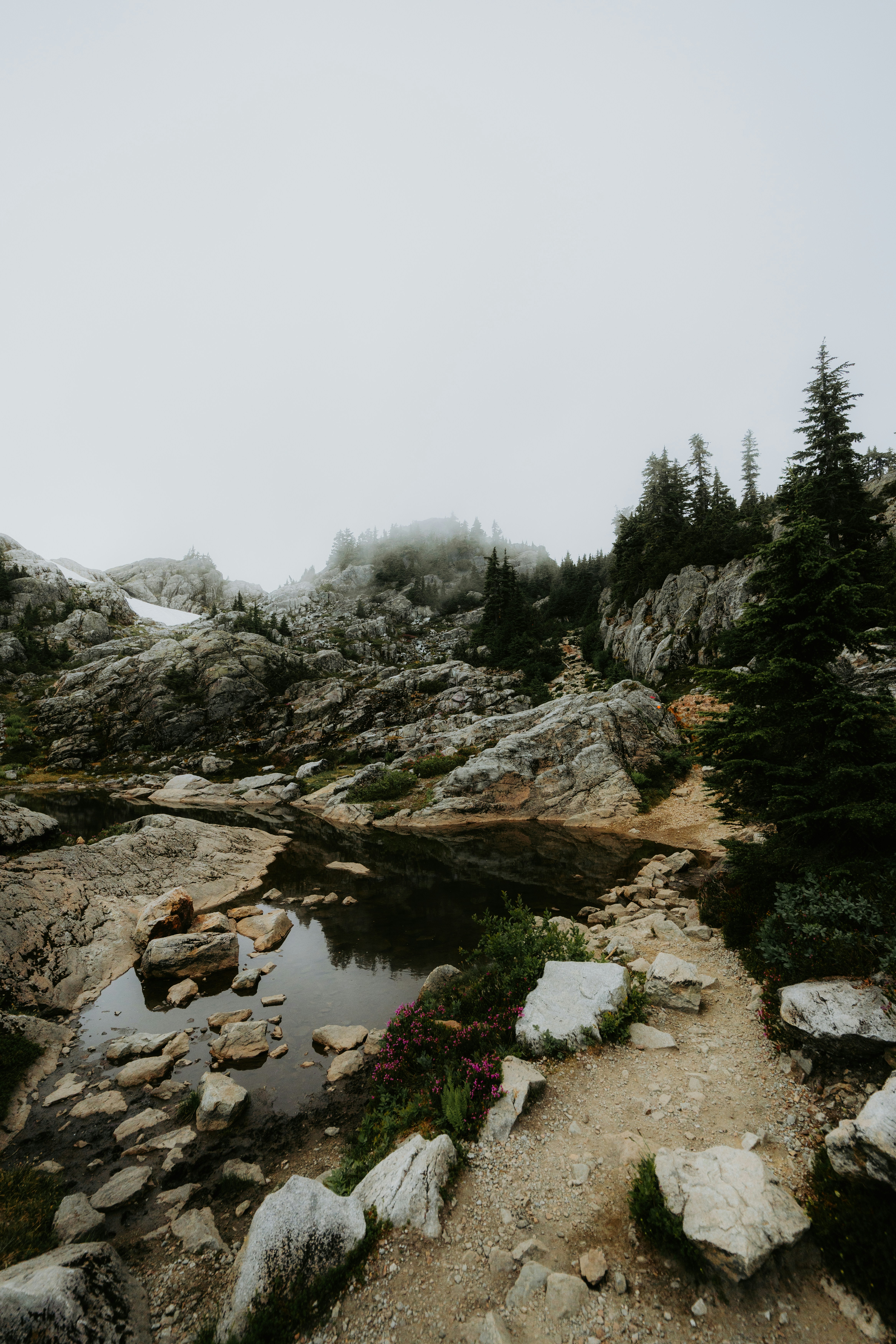 A rocky area with a small pond surrounded by trees photo – Free Nature ...