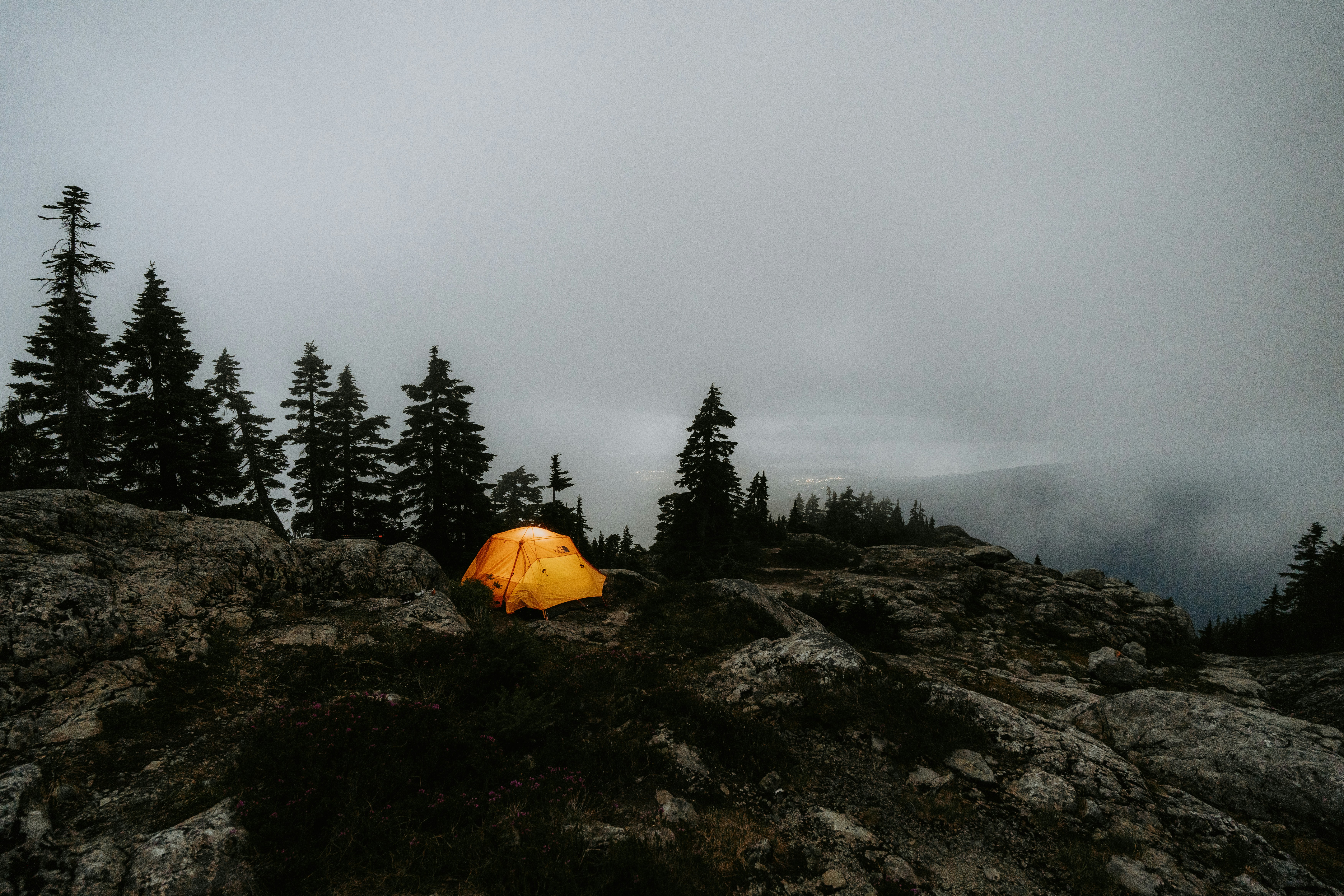 Amber Refuge on a Wind-Worn Ridge