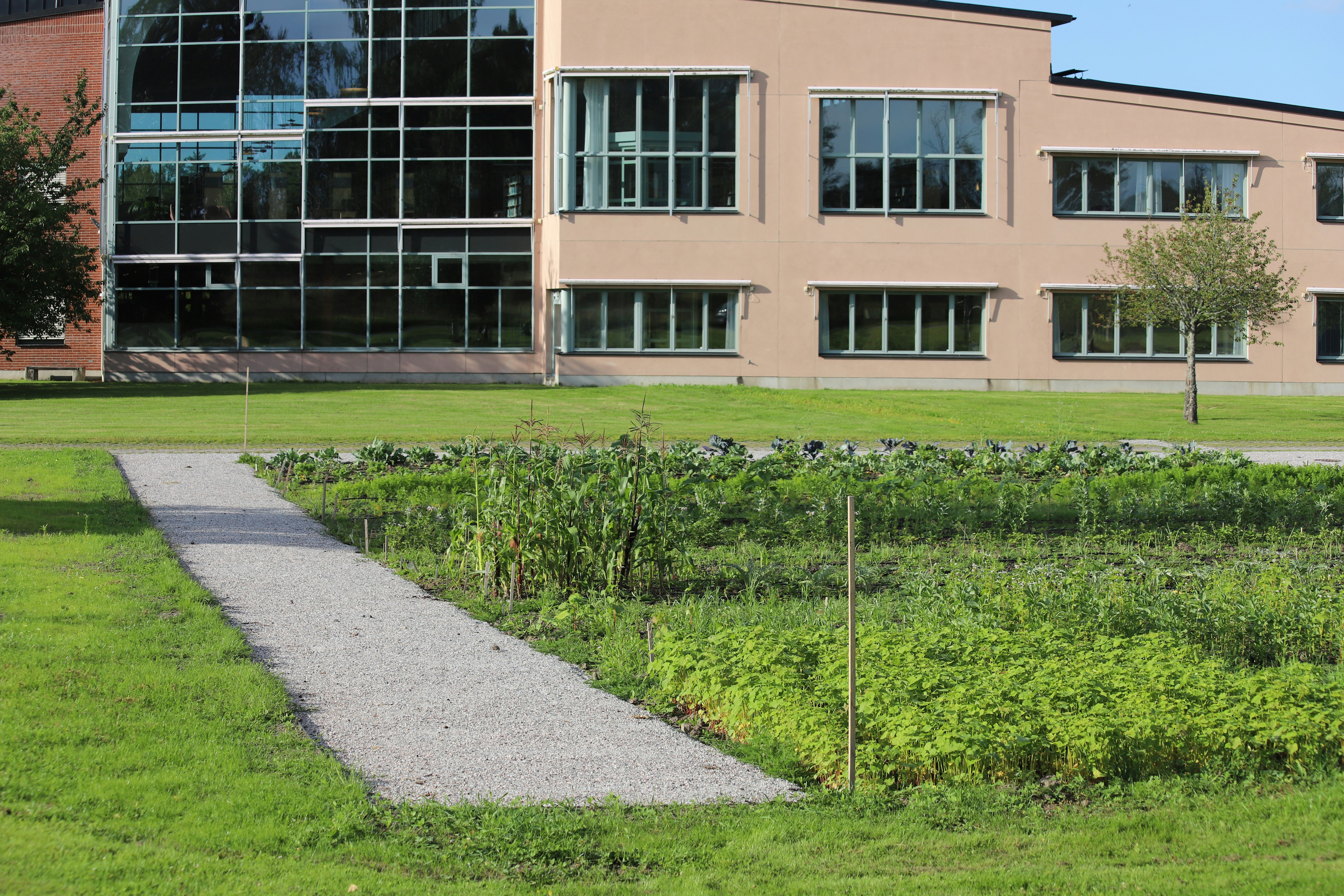 Örebro University / Örebro universitet