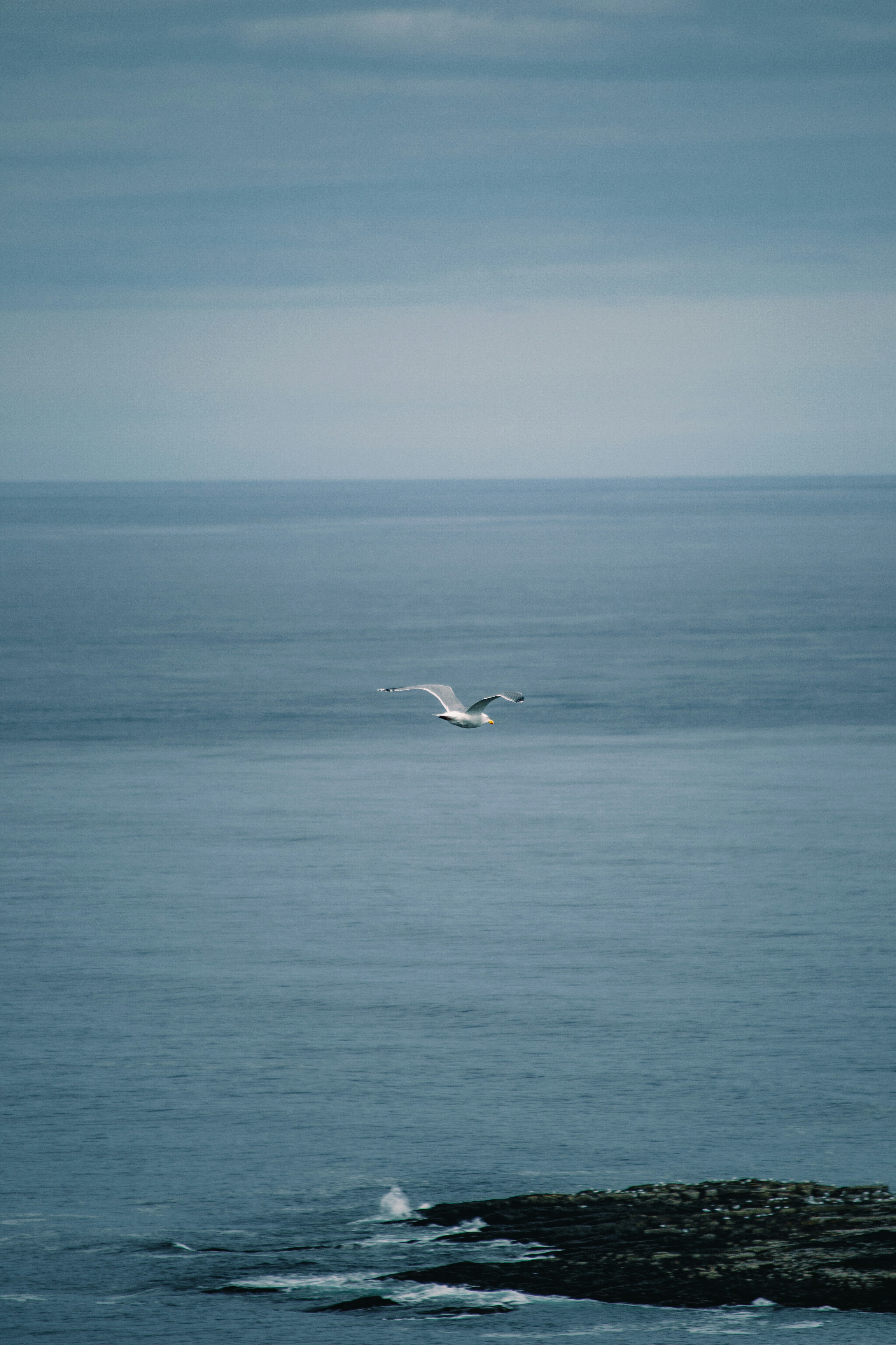 Photo by Dmitry Smirnov with Nikon D3100