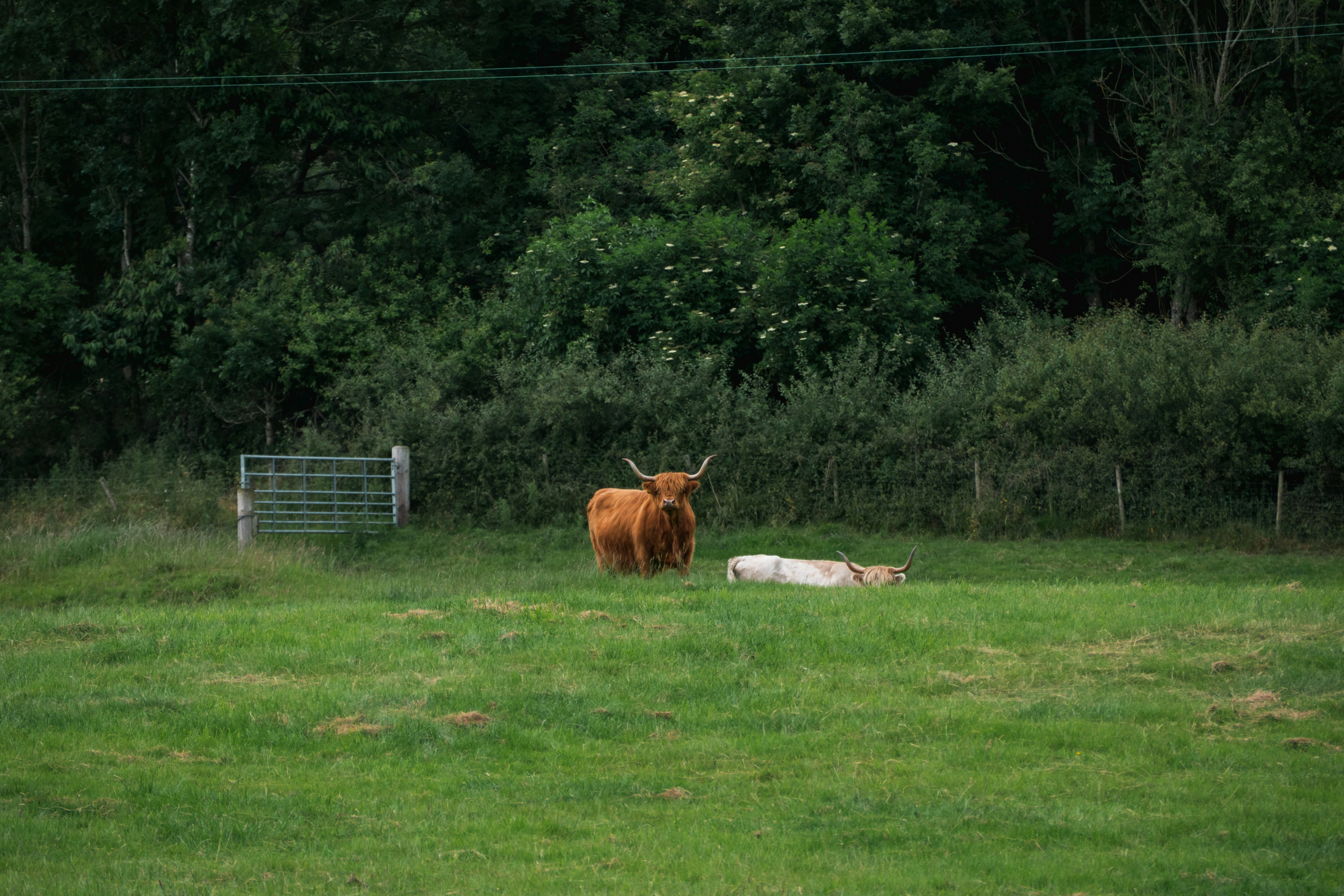 Photo by Aleksi Partanen with Olympus OM-D E-M1 Mark II