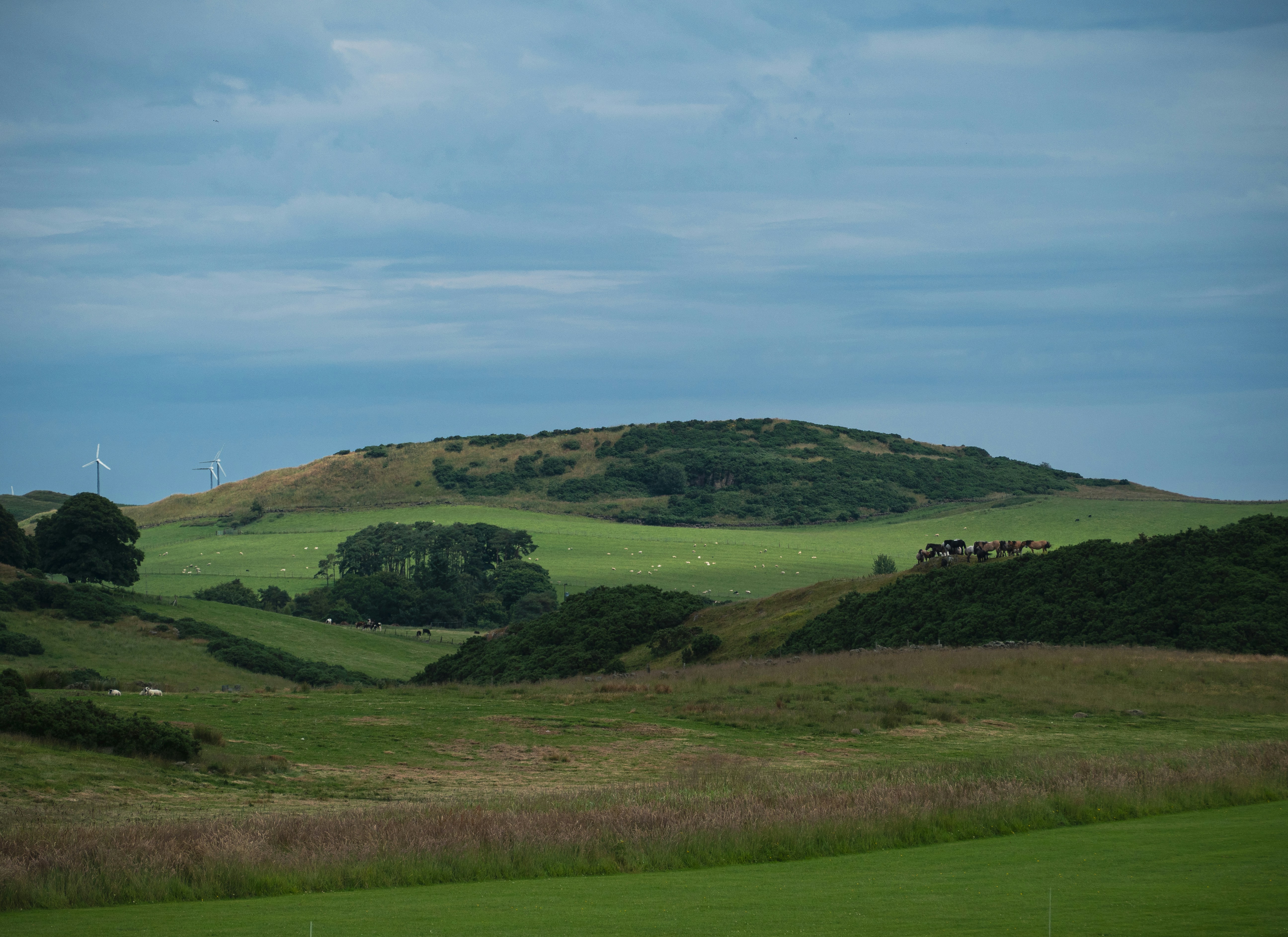 Photo by Aleksi Partanen with Olympus OM-D E-M1 Mark II