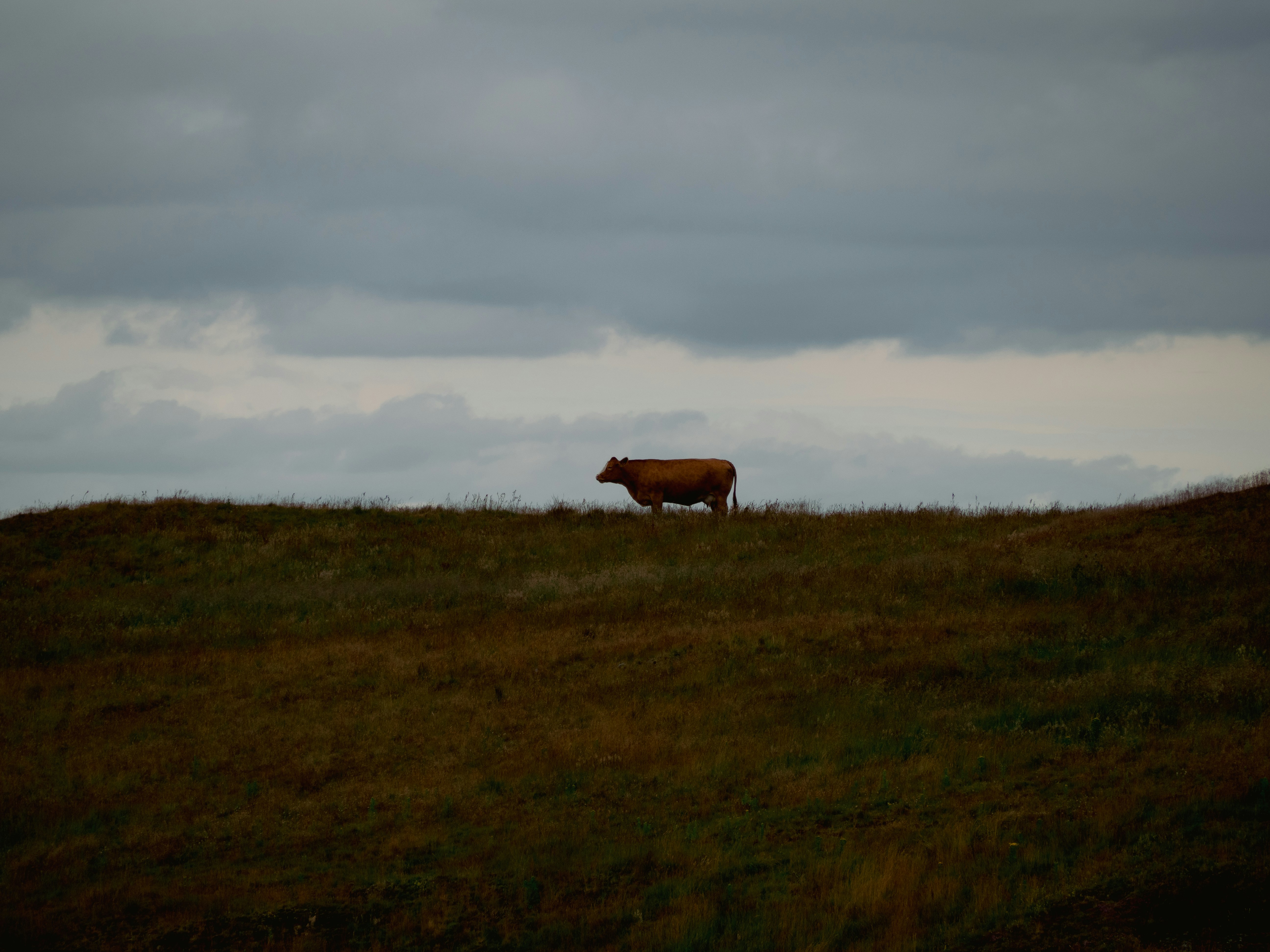 Photo by Aleksi Partanen with Olympus OM-D E-M1 Mark II