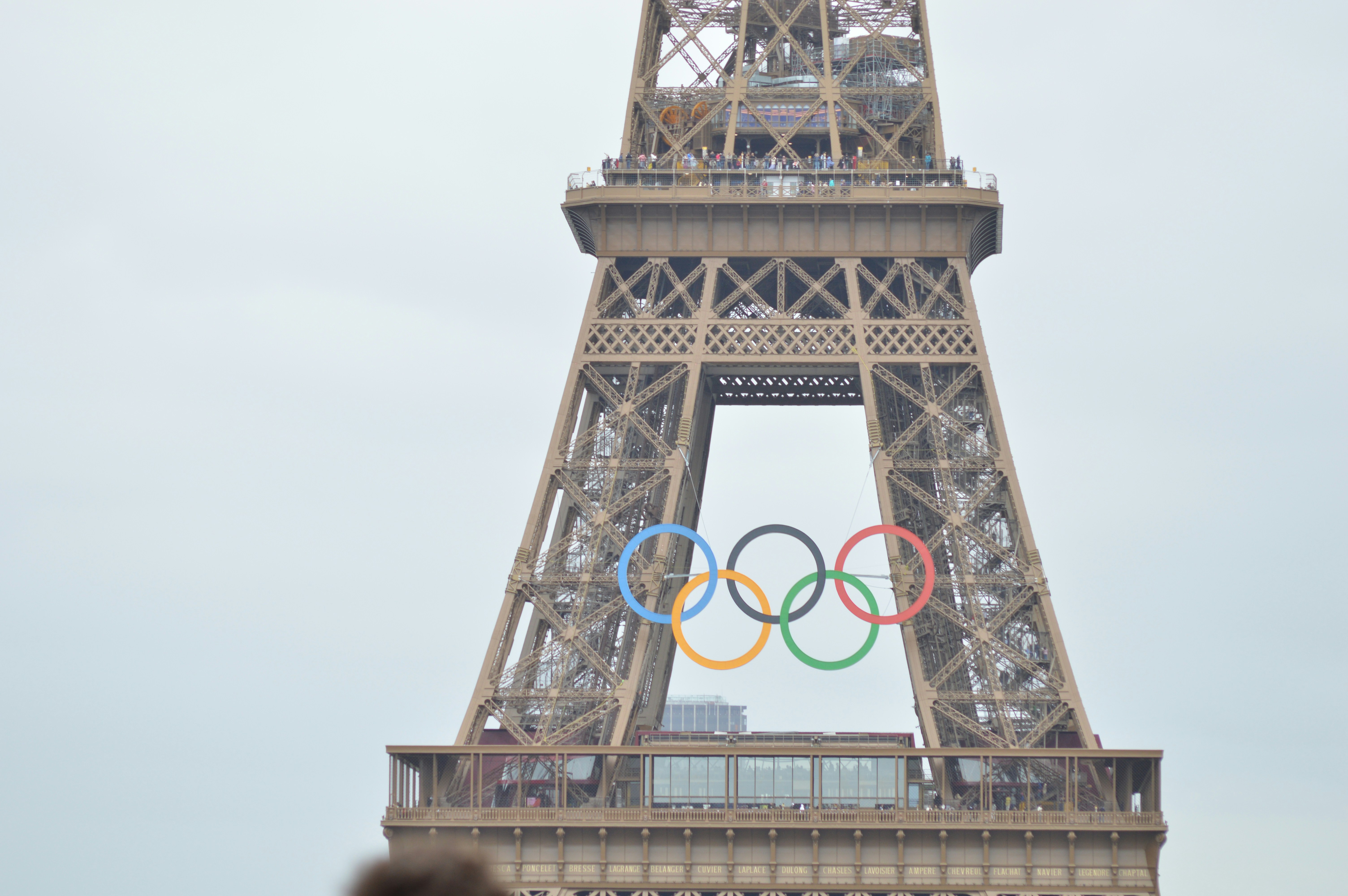 Photo by omar cheikh rouhou with Nikon D3200