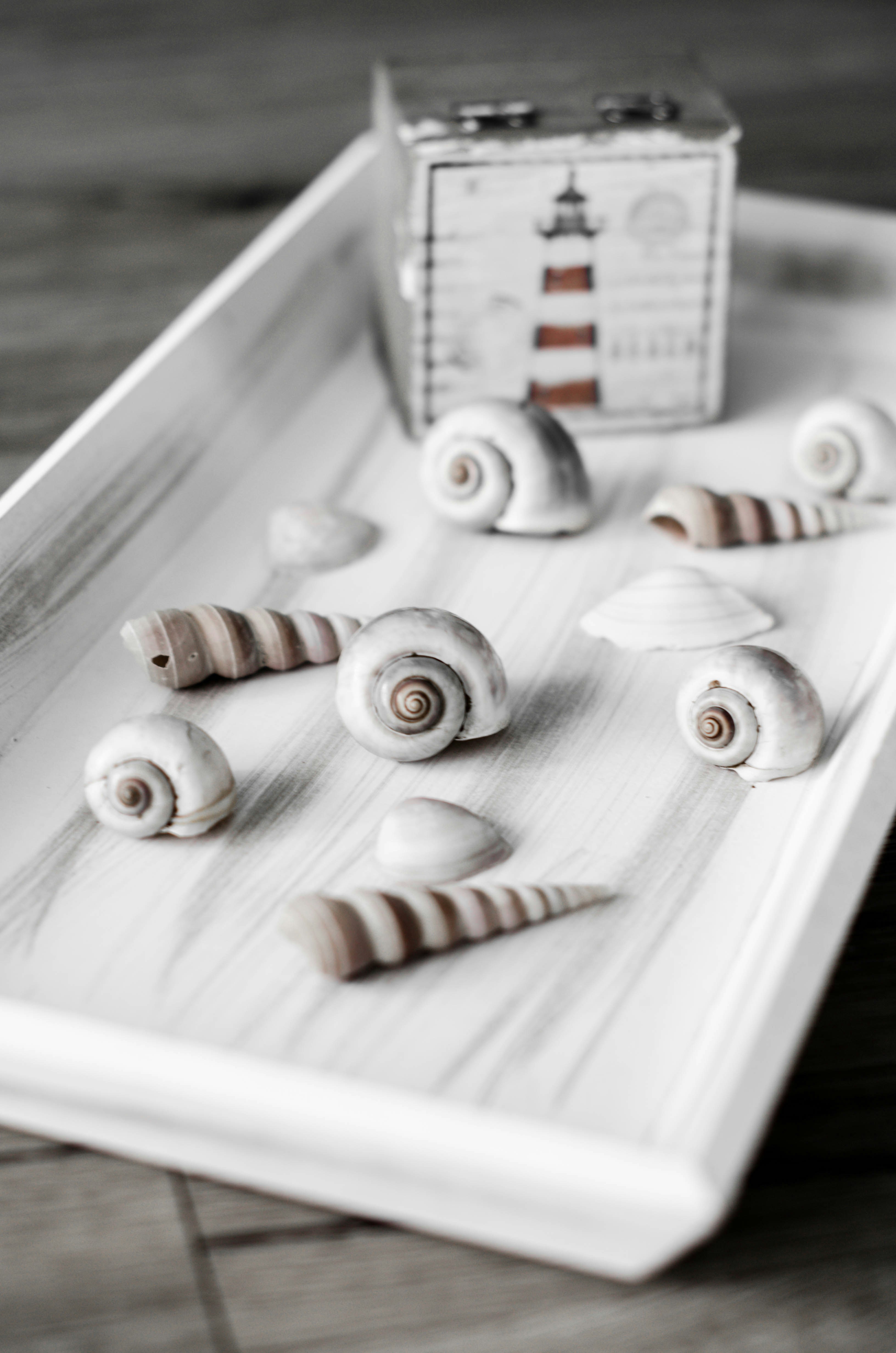 Miniature Lighthouse Keeps Company with Sea-Shell Treasures in a Tray