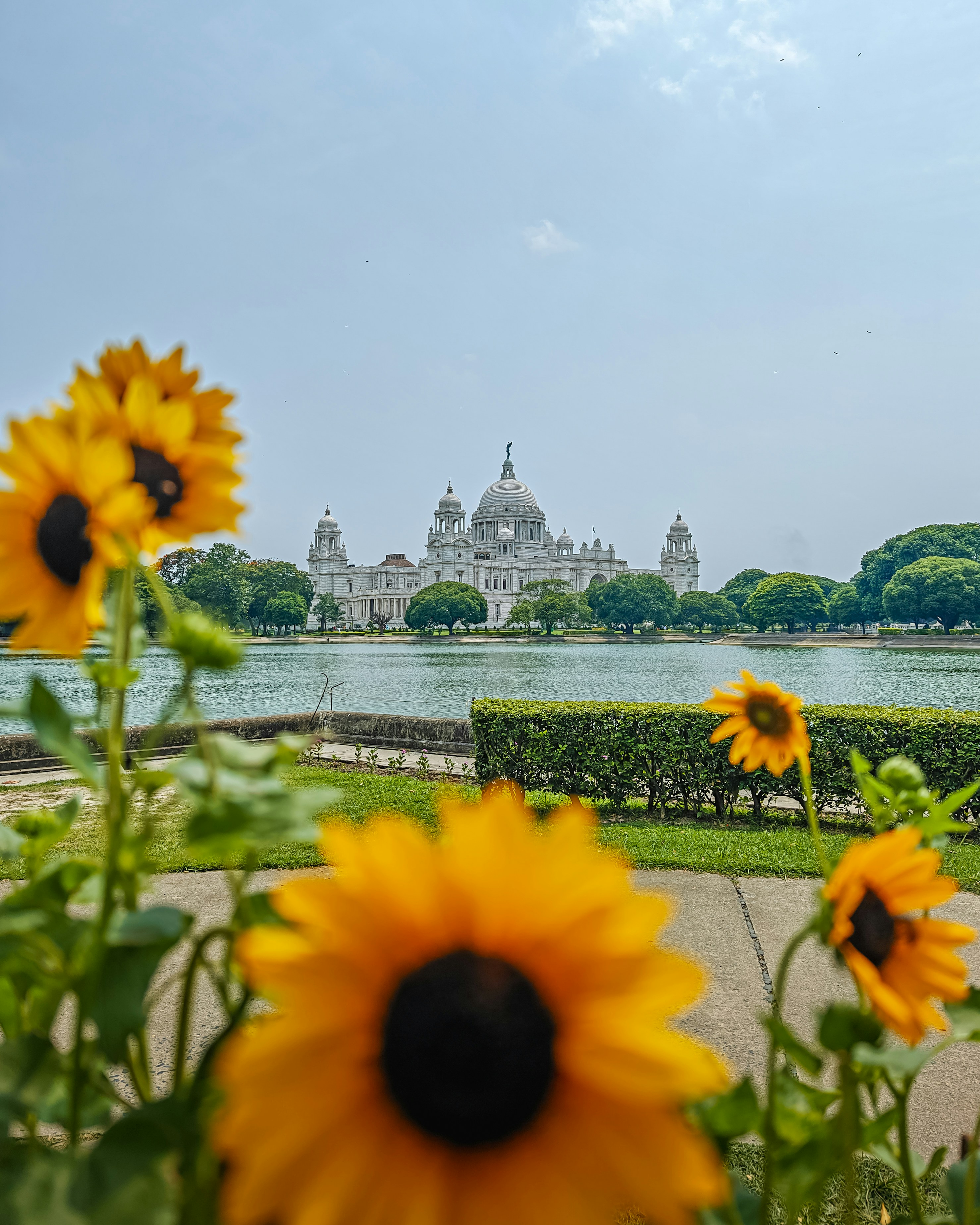 Sunflowers frame a grand white-domed building across a tranquil water body; a park path leads the eye toward the architectural centerpiece.