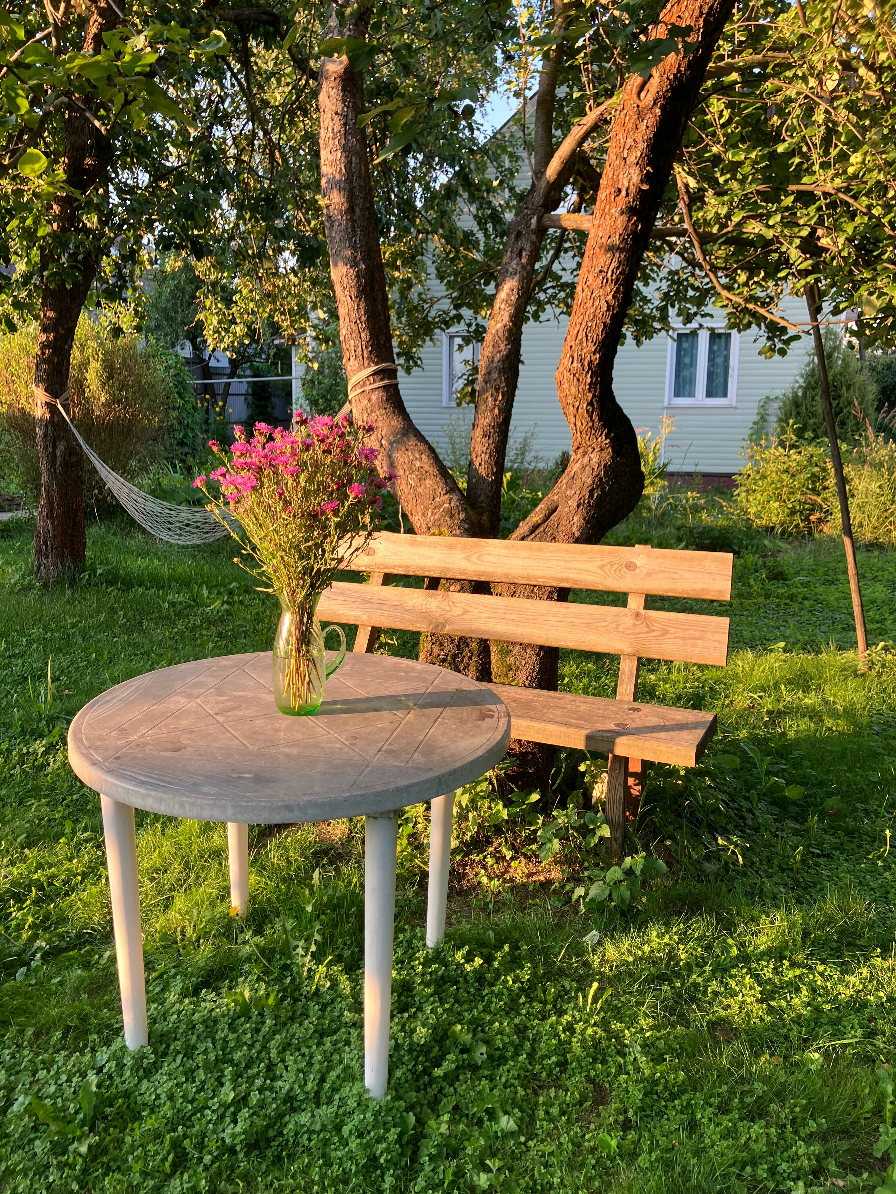 Pink Wildflowers on a Sunlit Garden Table, Framed by a Wooden Bench