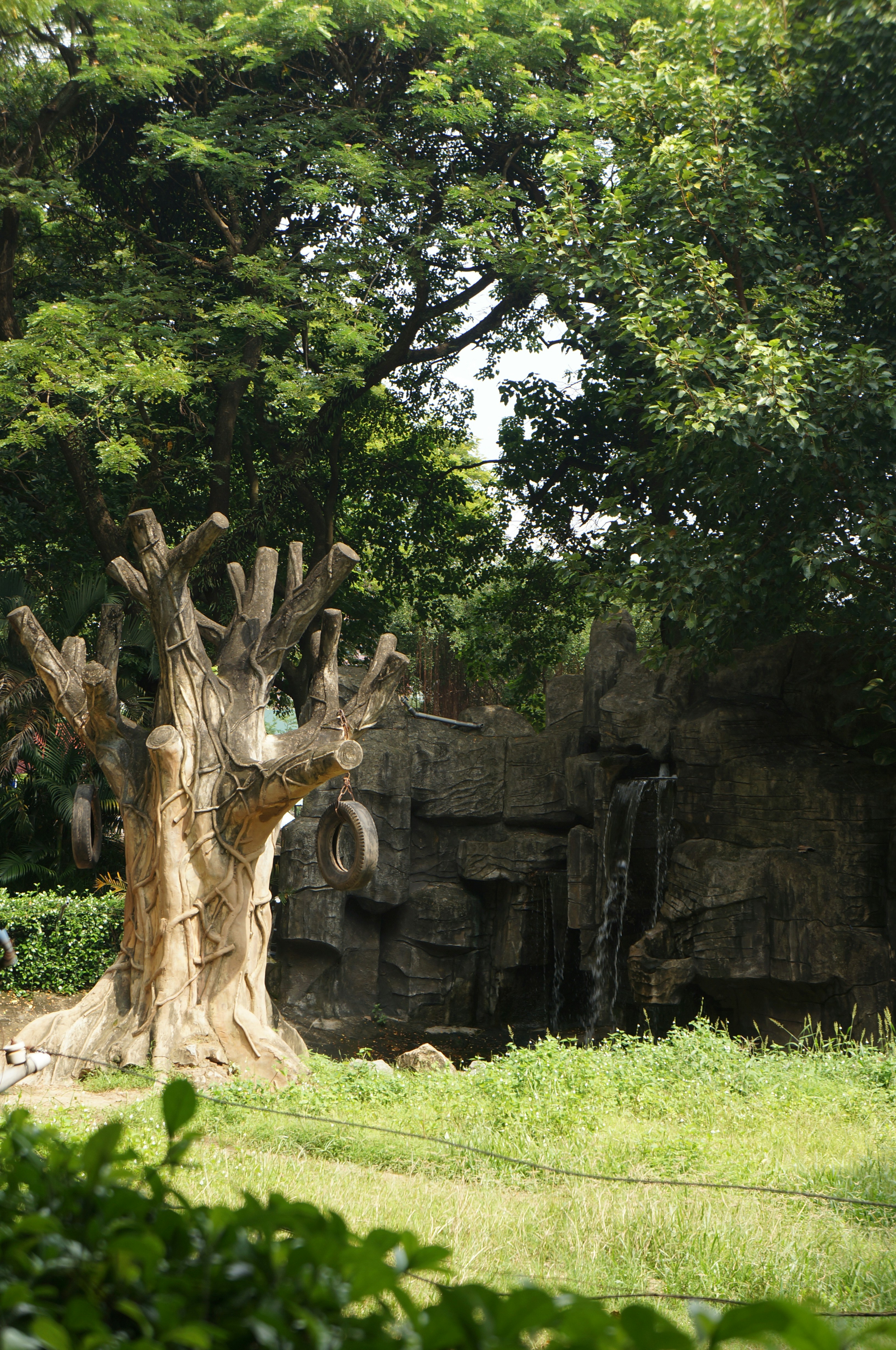 Gnarled Tree Trunk with Tire Swings Framed by a Rocky Waterfall