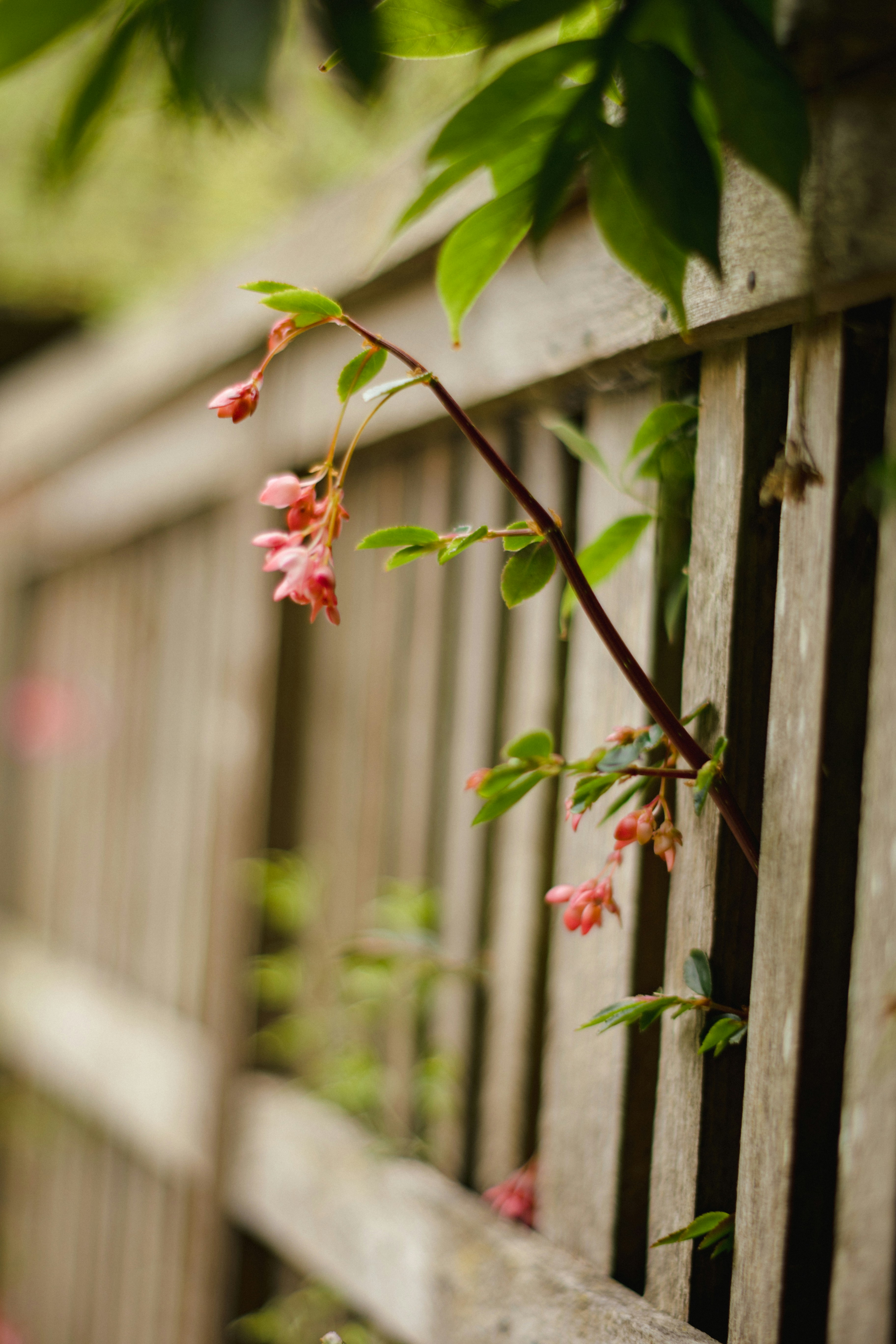 Photo by Jason Leung with Canon EOS R6