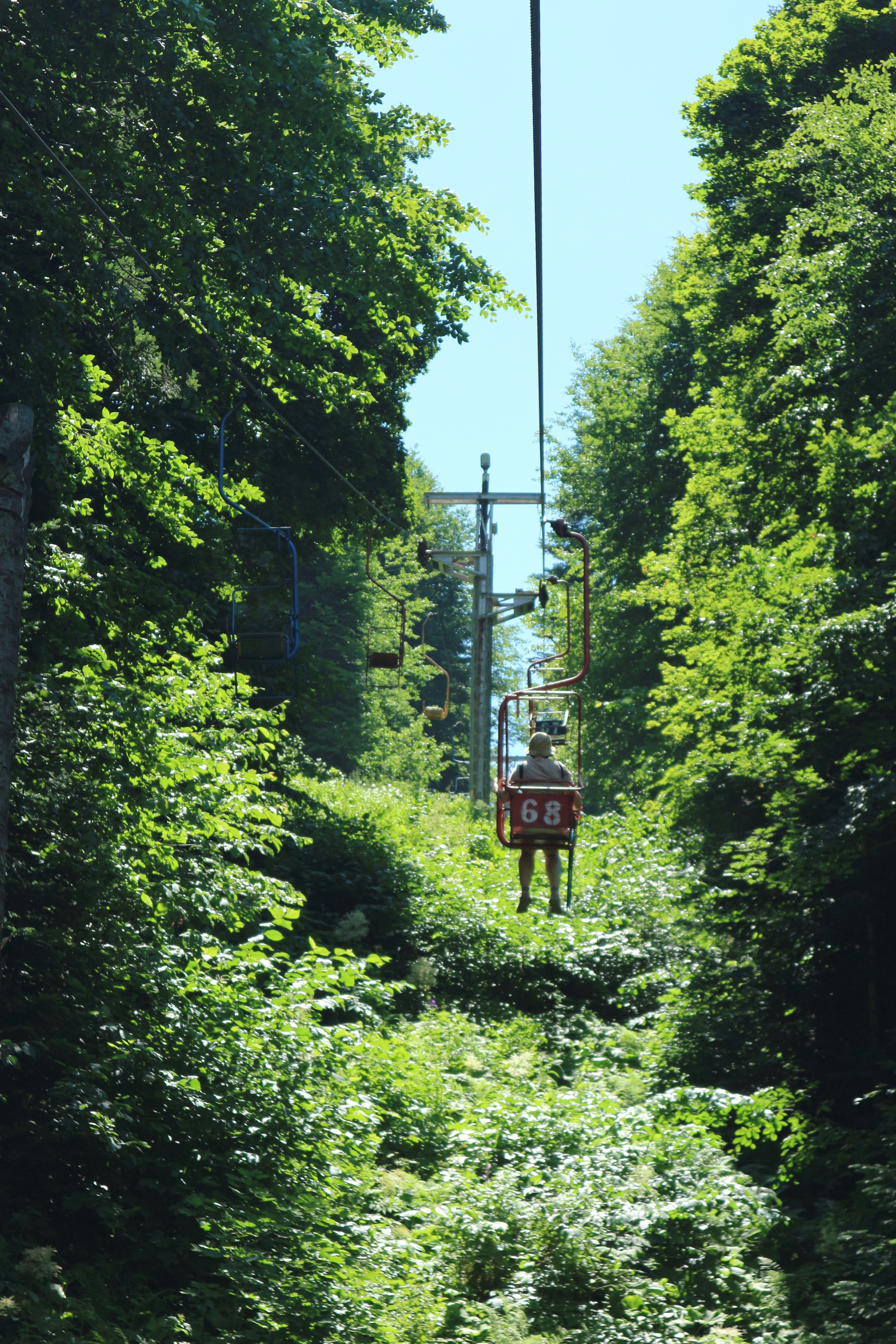 Photo by Anatoly Lebedenko with Canon EOS M10