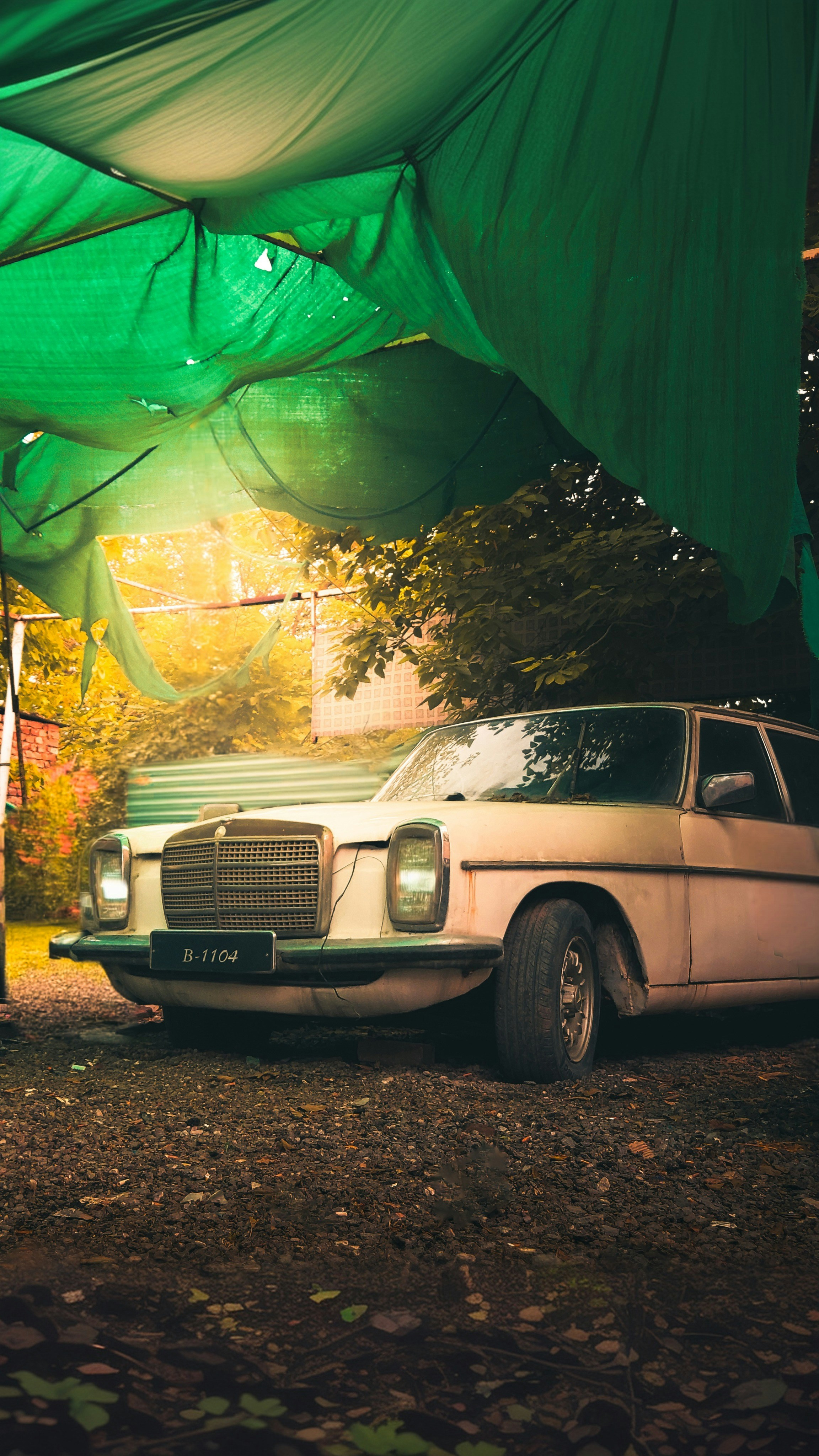A white car parked under a green tarp photo – Free Car Image on Unsplash