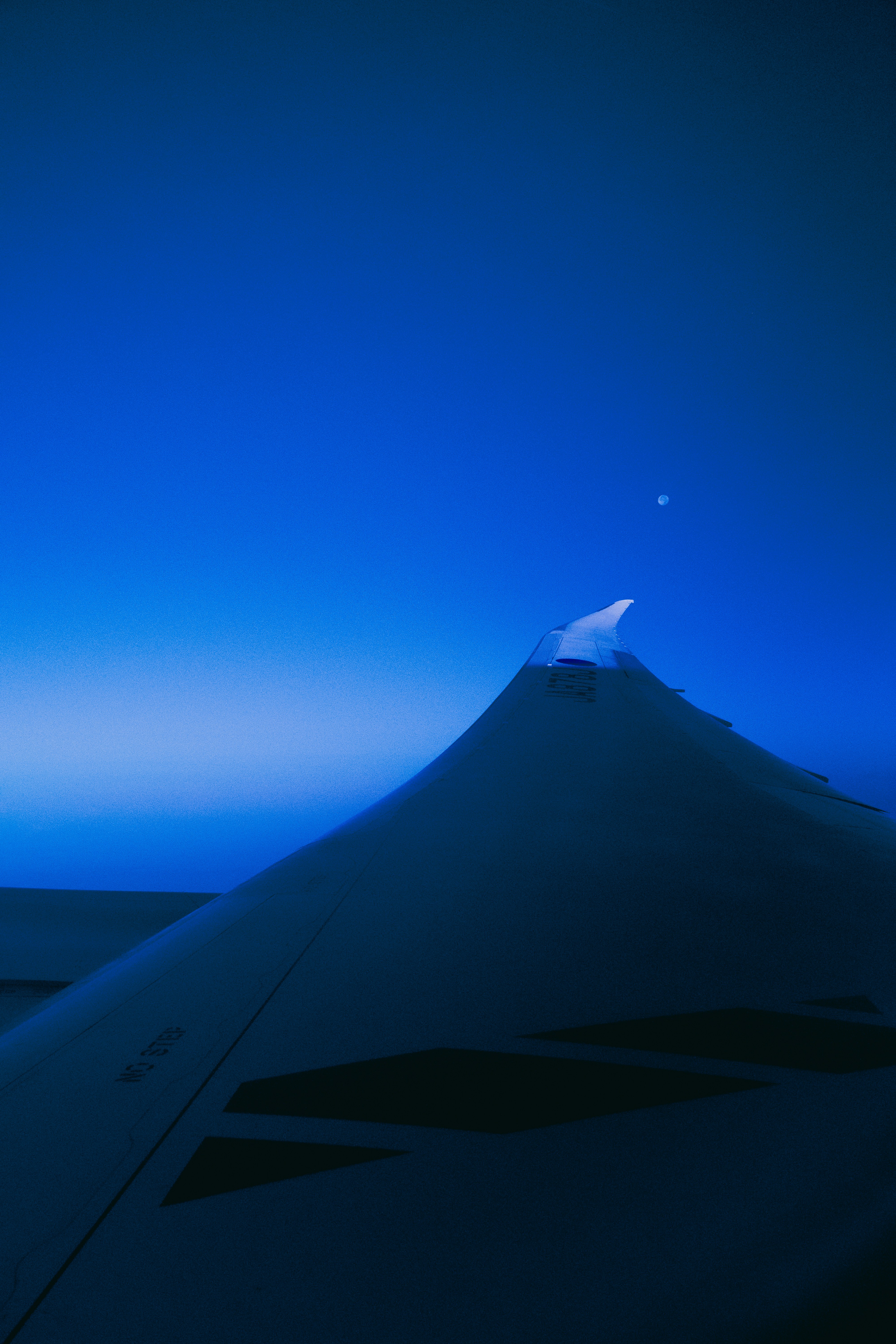Blue Hour Crest: Wingtip Rising into a Velvet Sky
