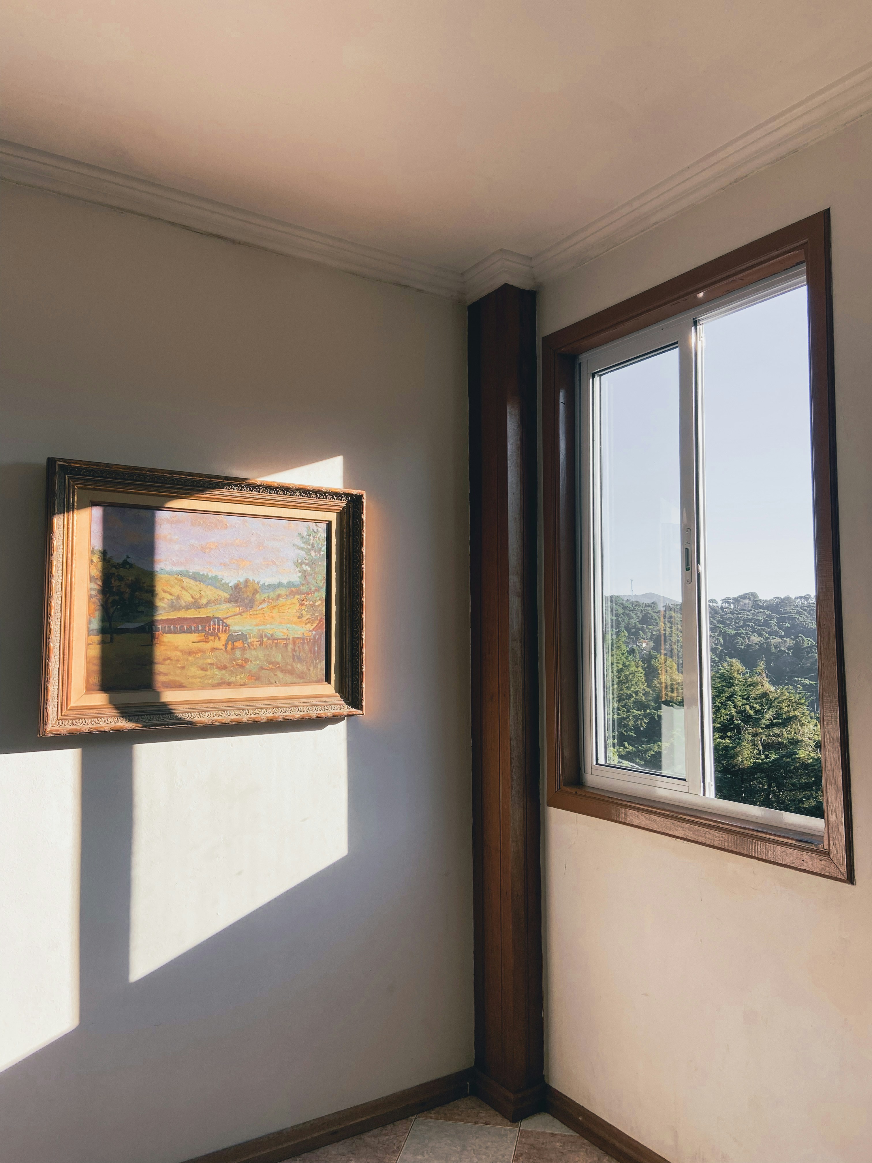 100+ Frame Photos | Download Free Images & Stock Photos On Unsplash