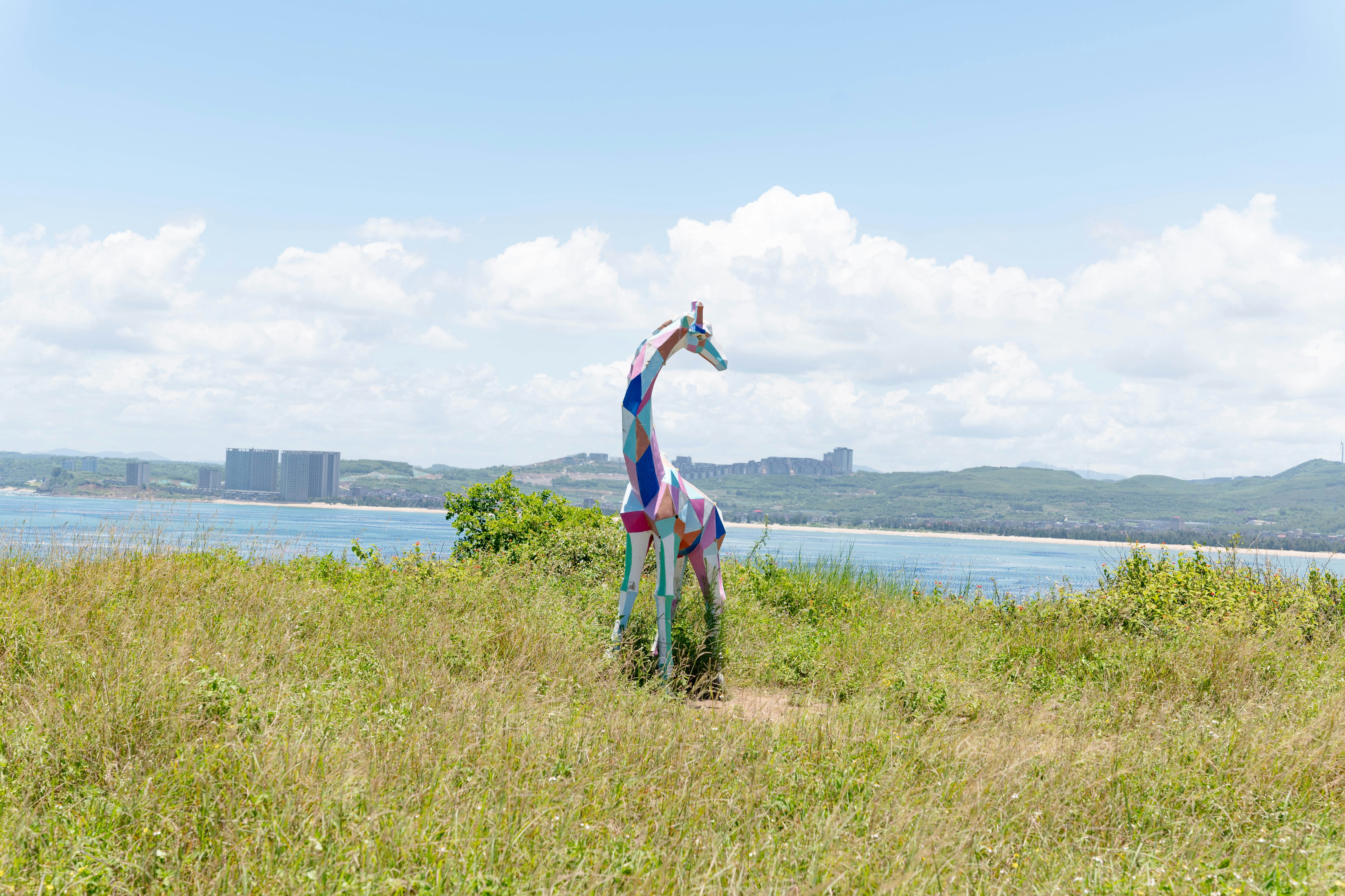 A giraffe standing on top of a lush green field photo – Free Exercise ...