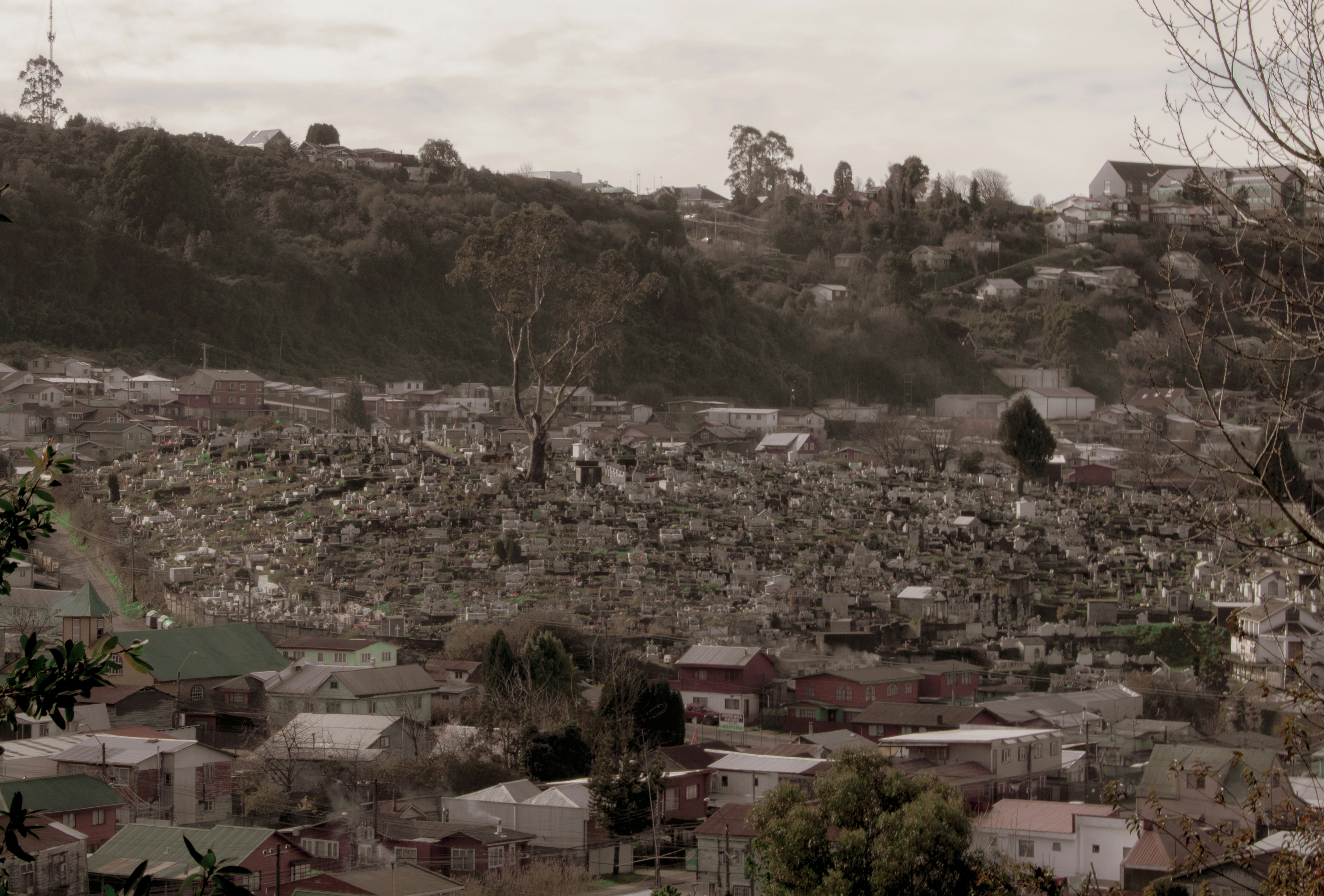 A Quiet Cityscape Blanket of Rooftops under Pale Light