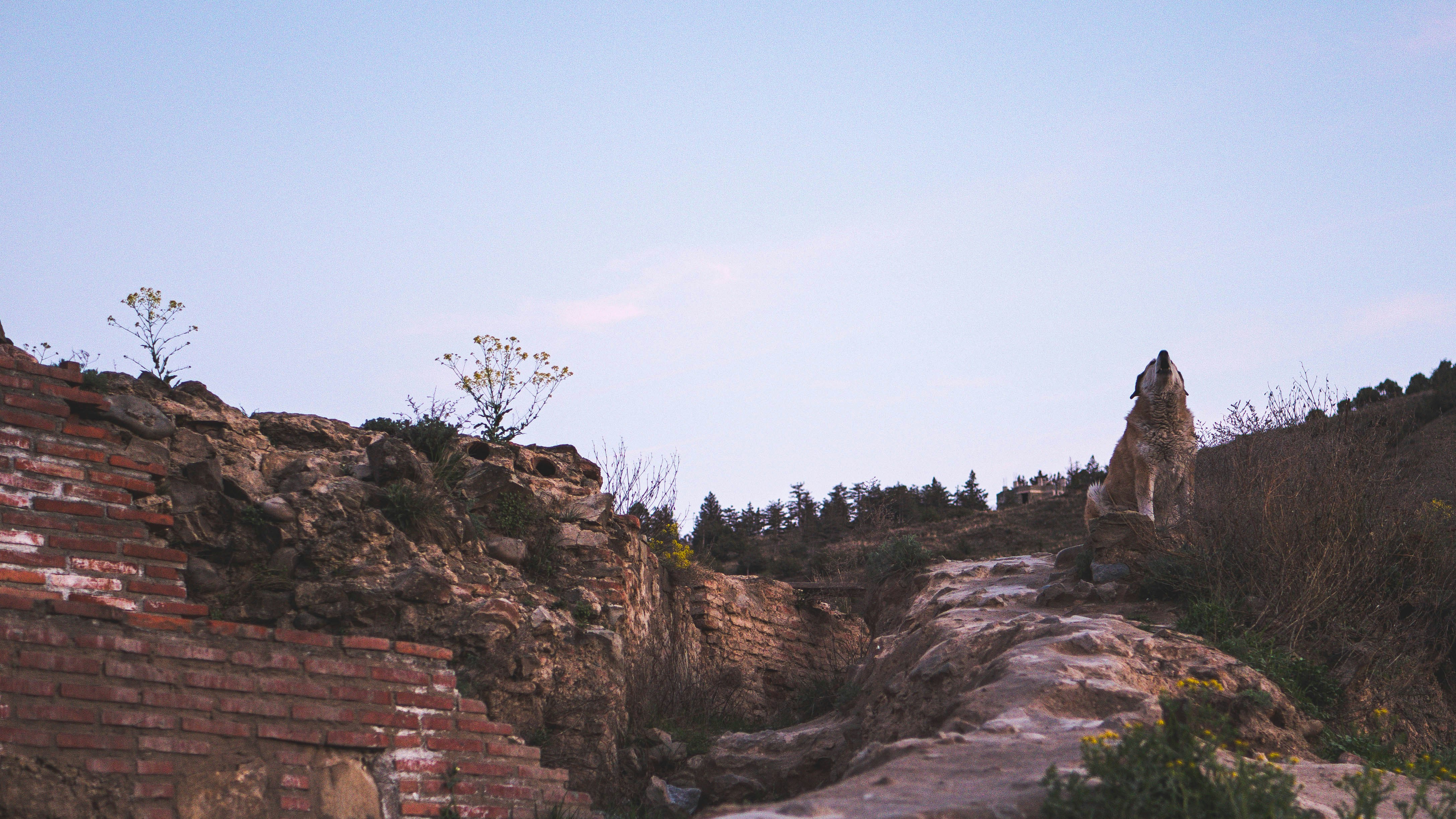 Ridge Sentinel: A crumbling wall guards a solitary rock spire