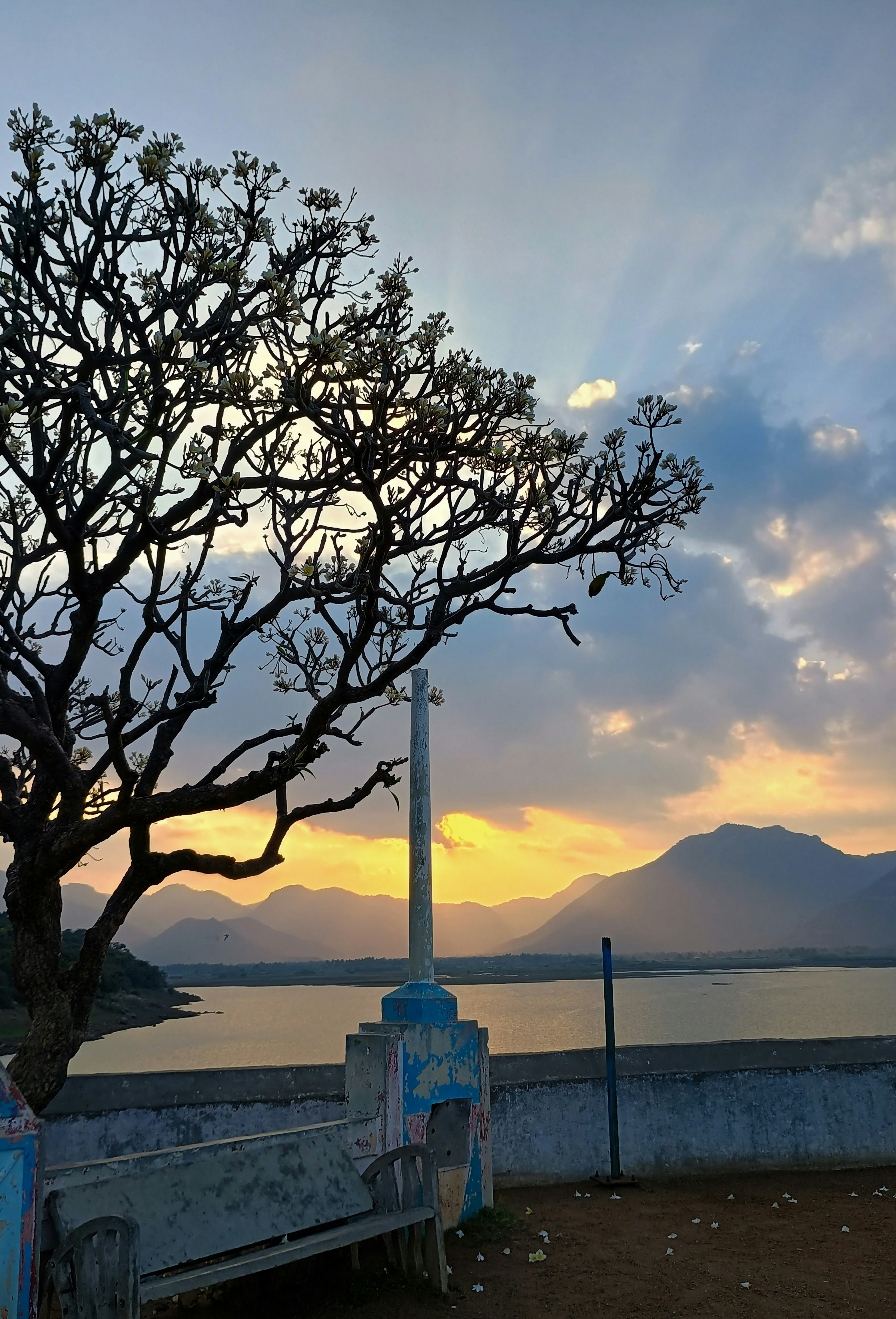 Sunset over the Terrace: A Silhouetted Tree and Obelisk by the Lake