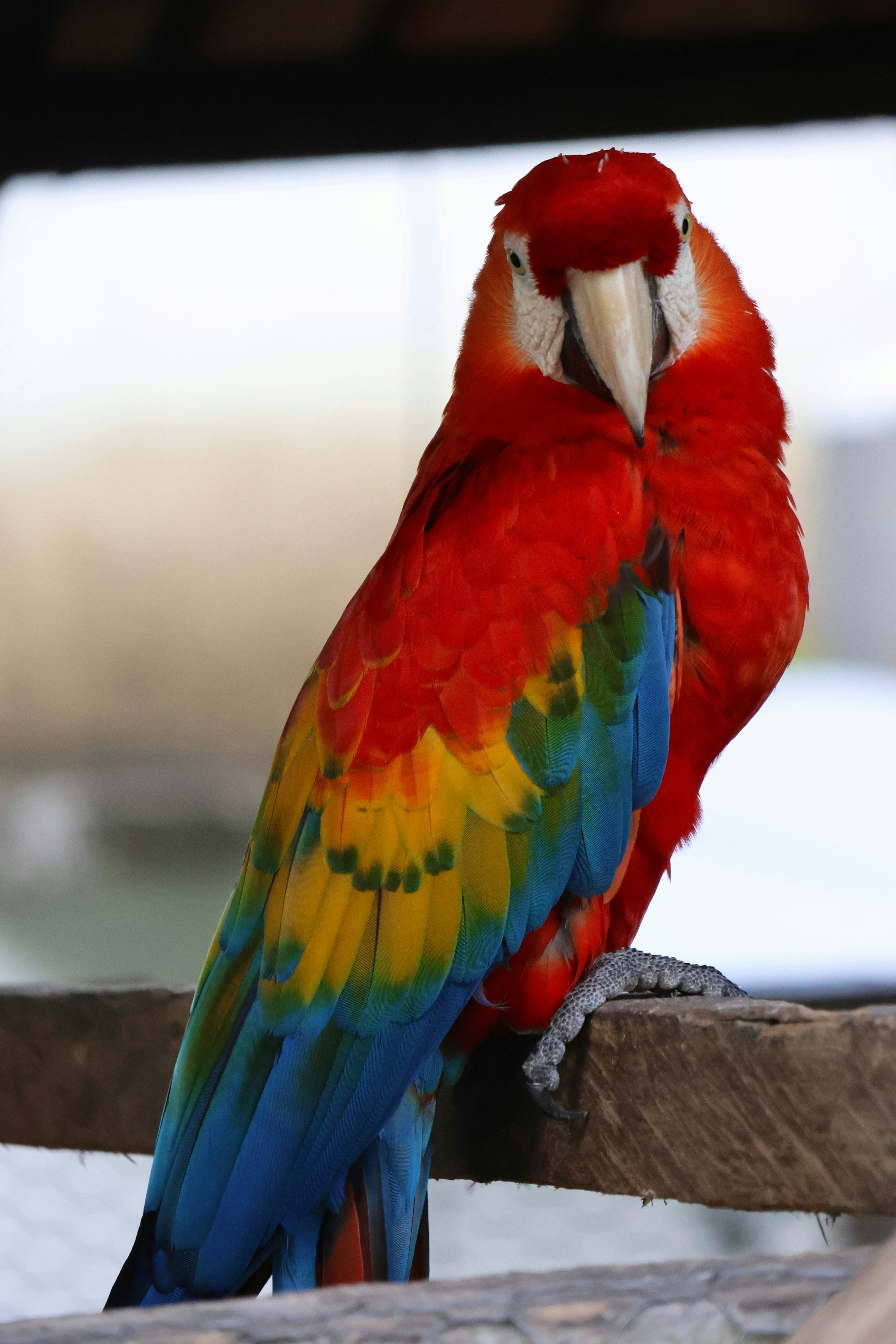 Photo by Orlando Garcia with Canon EOS R7