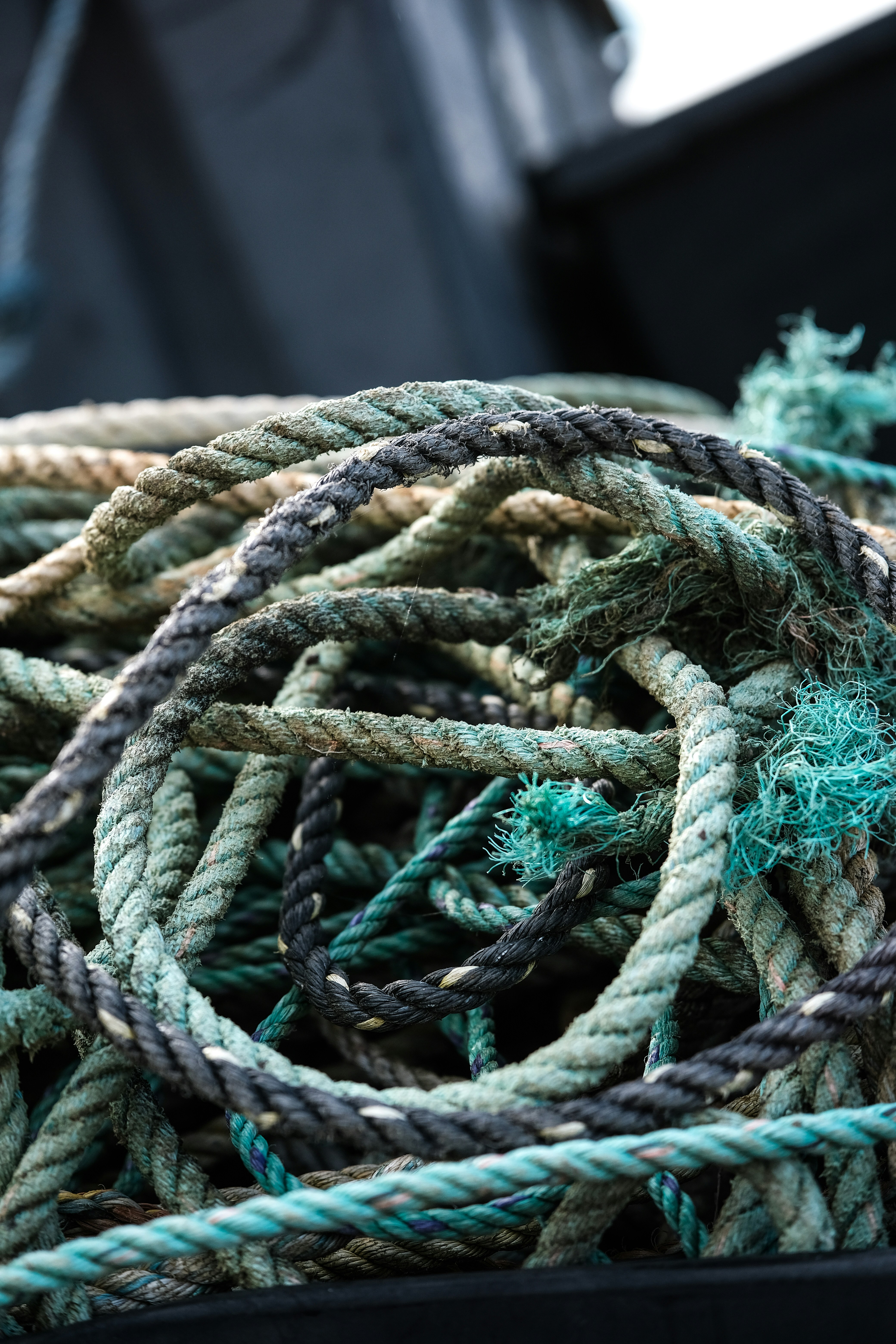 Weathered Mooring Threads: A Close-Up of Salt-Stained Ropes