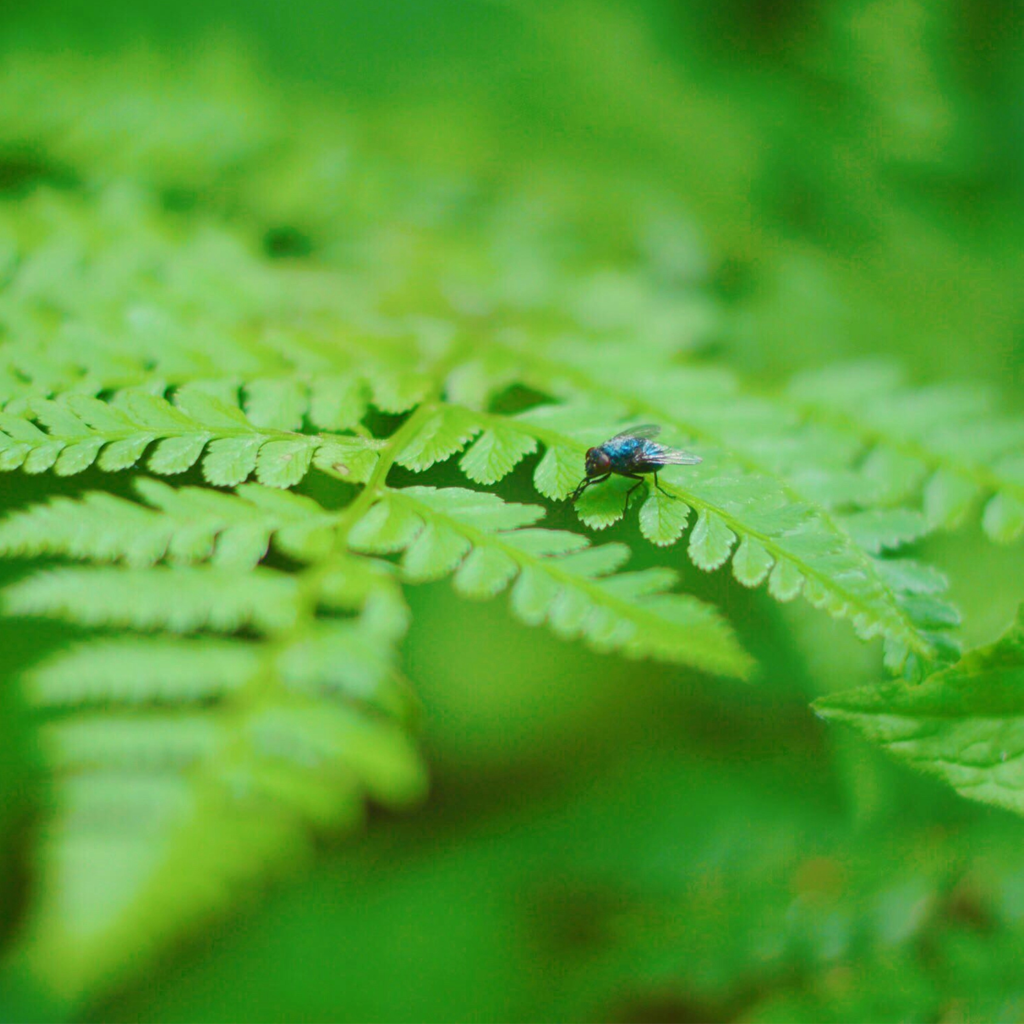 Horizon Eye (@horizoni) | Unsplashフォトコミュニティ