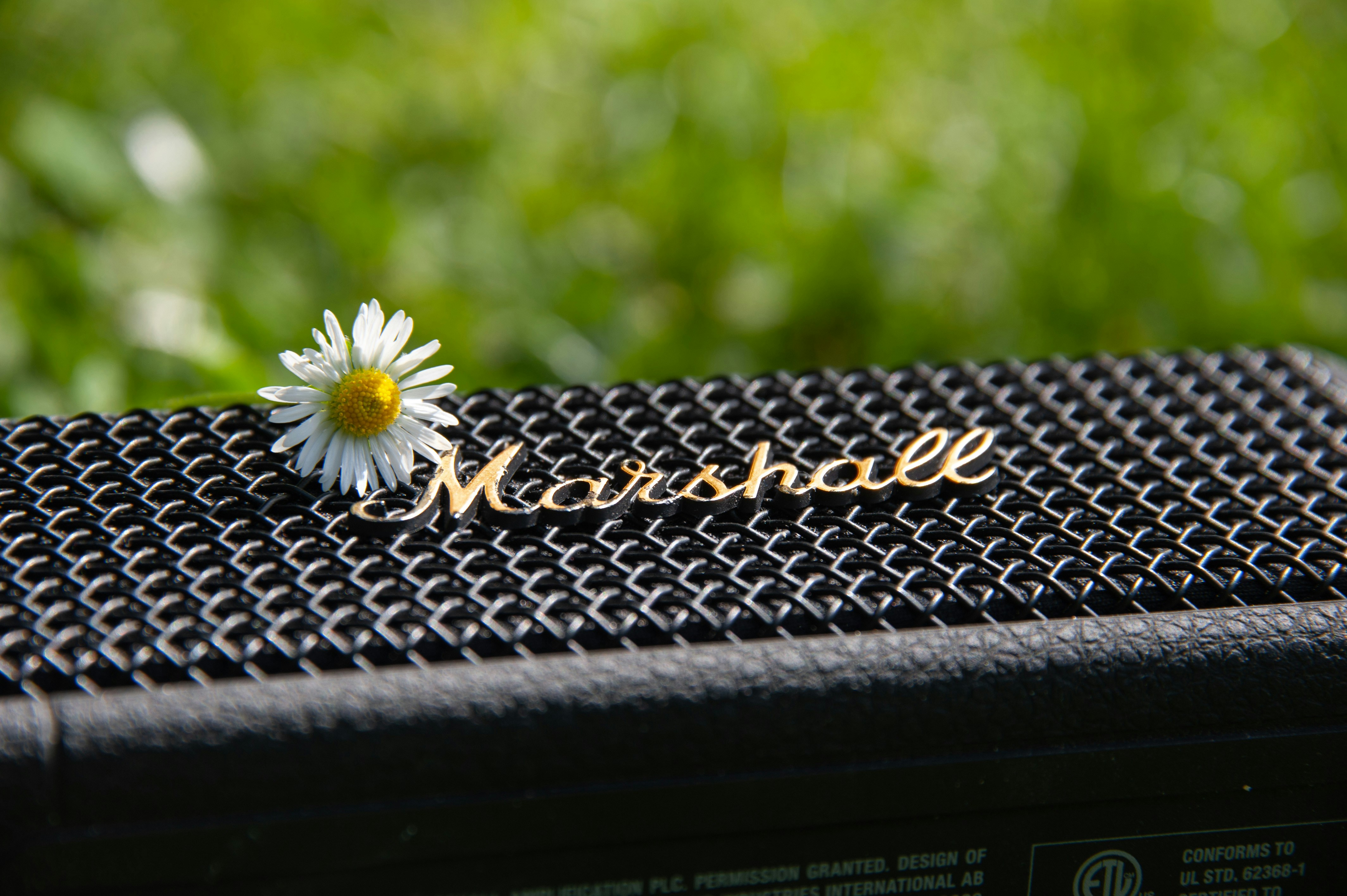 A daisy sitting on top of a black speaker photo – Free Flower Image on ...