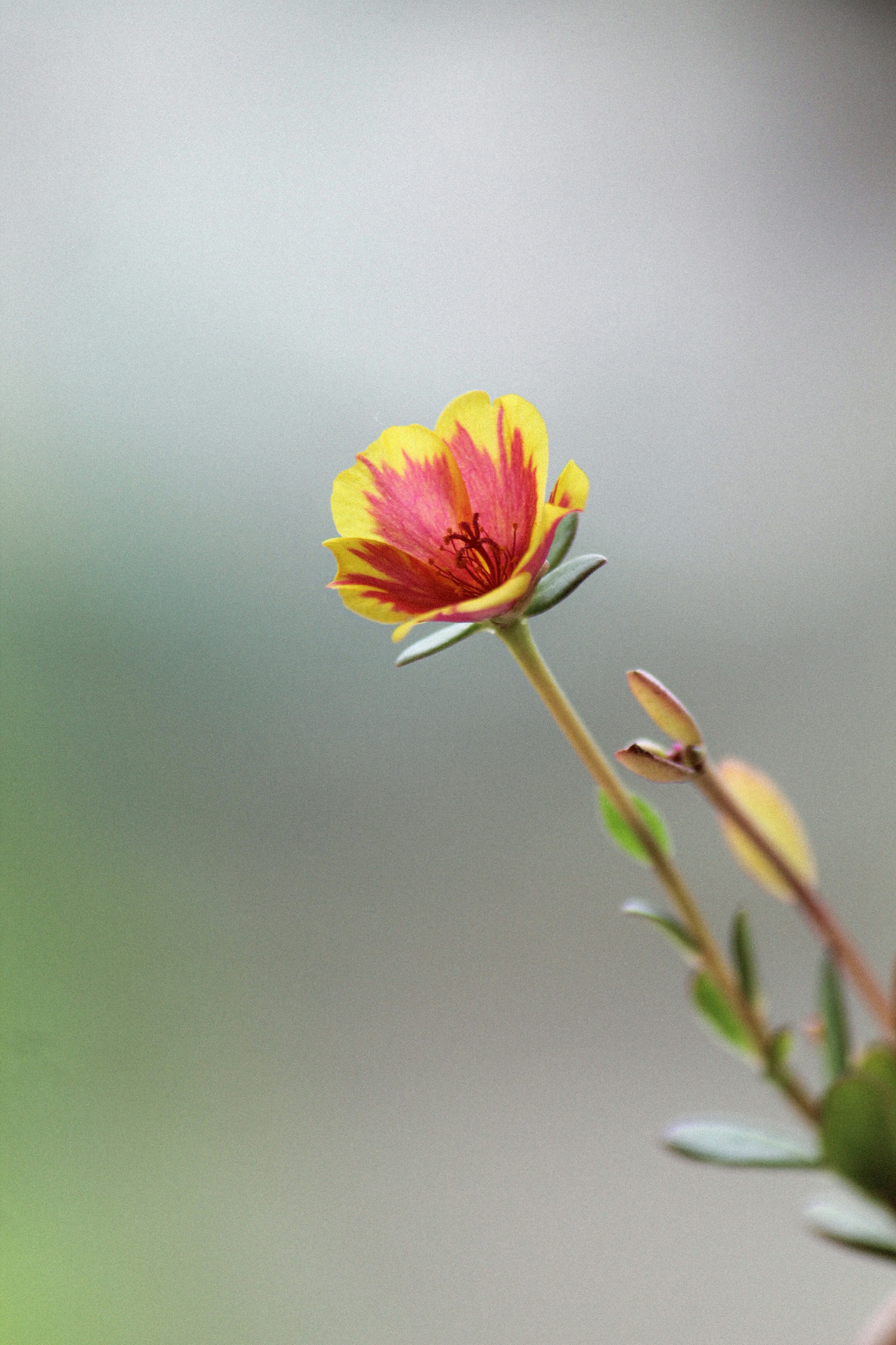 Photo by Aditya Mane with Canon EOS 3000D