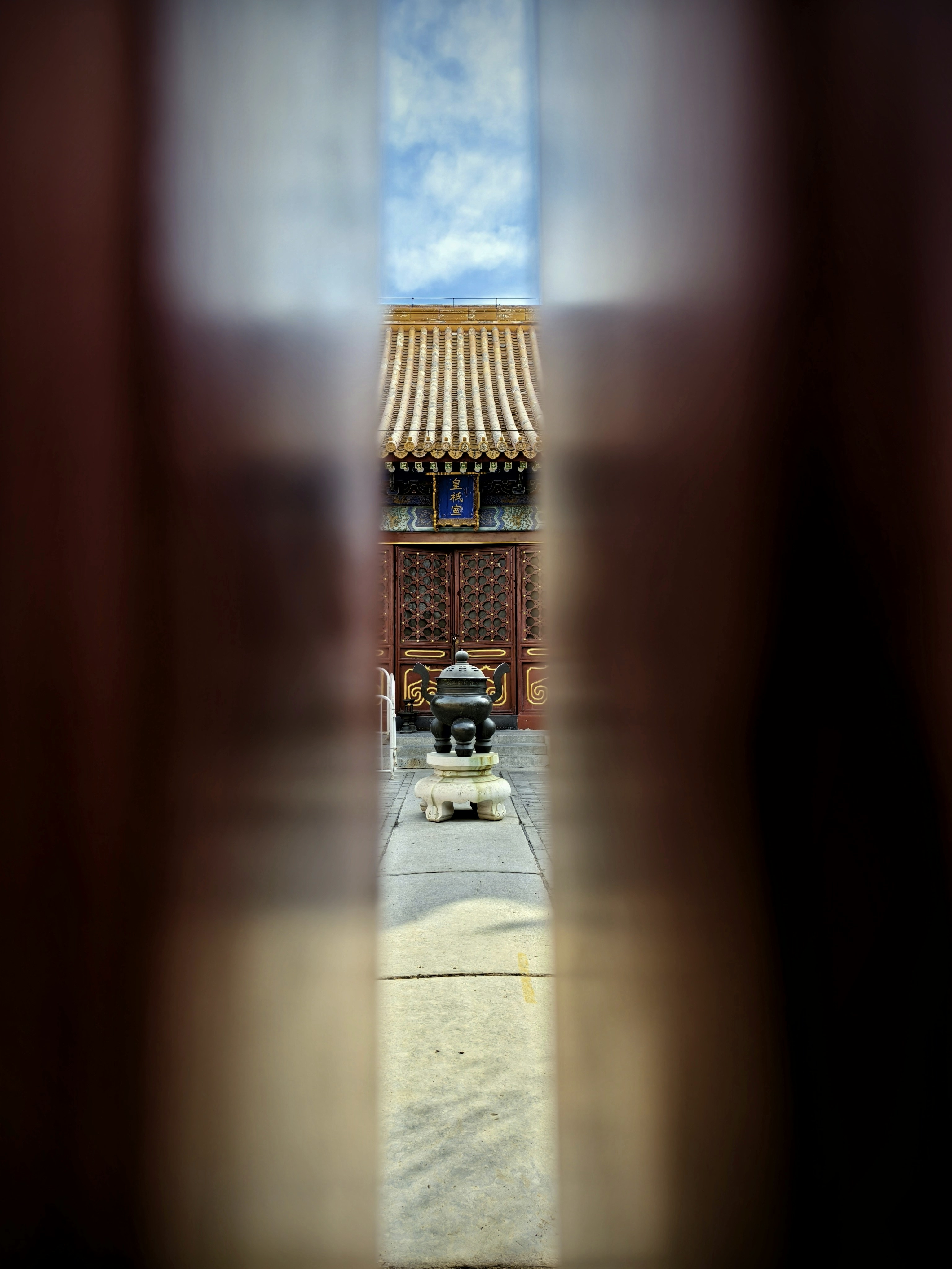 Photo by Zichen Liu with Vivo X100