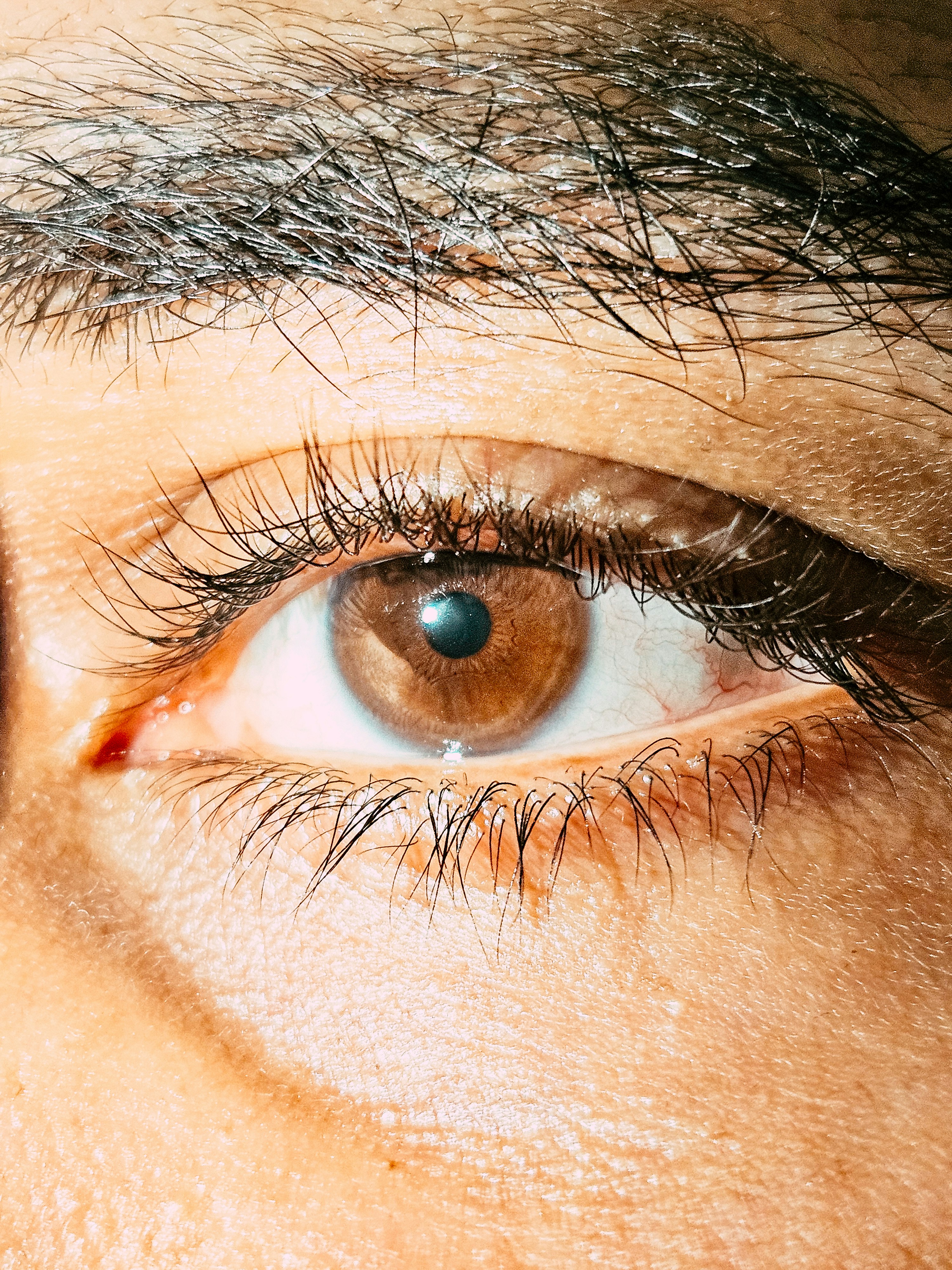 Sample photo from Samsung Galaxy S23