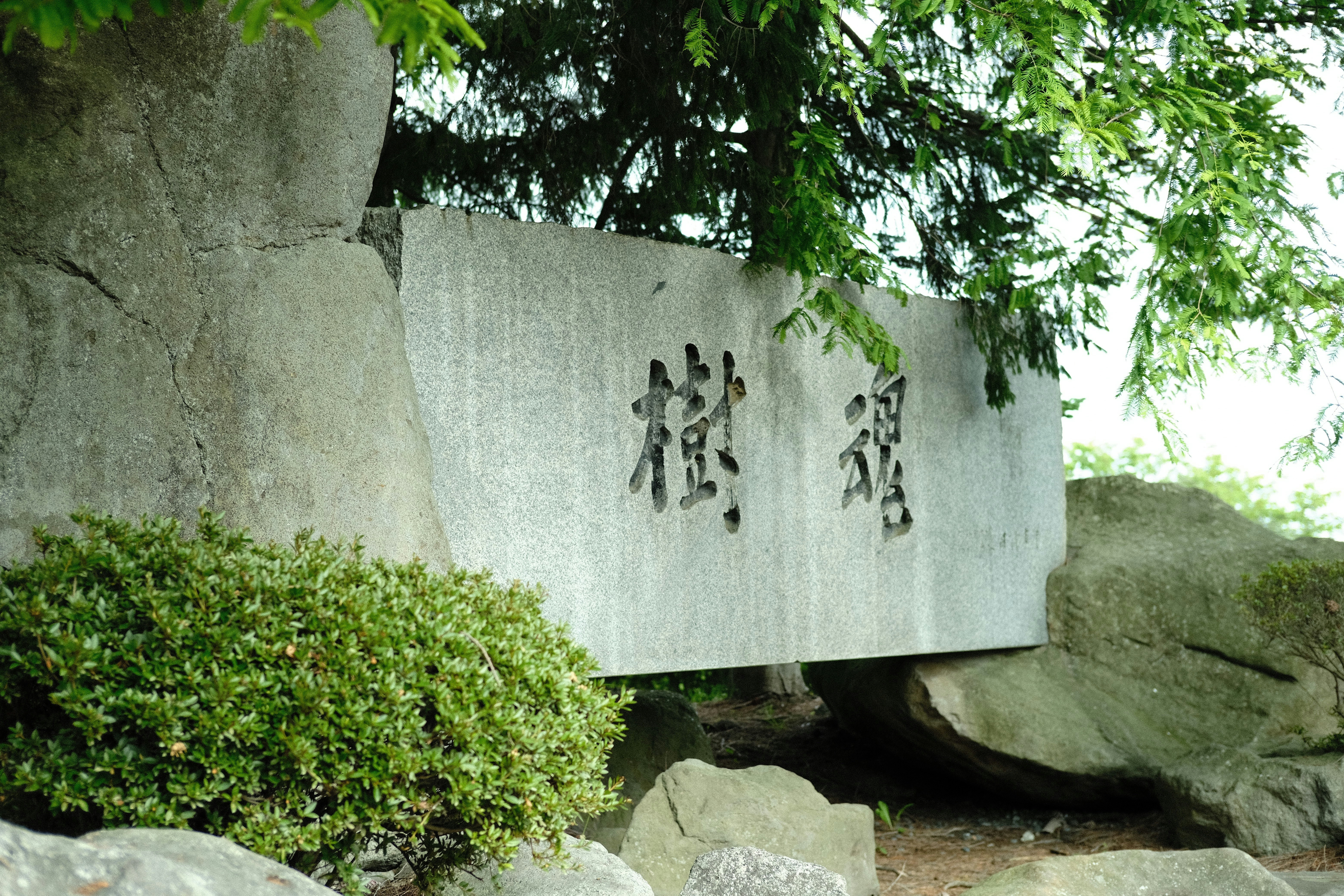 Glyphs in a Quiet Rock Garden