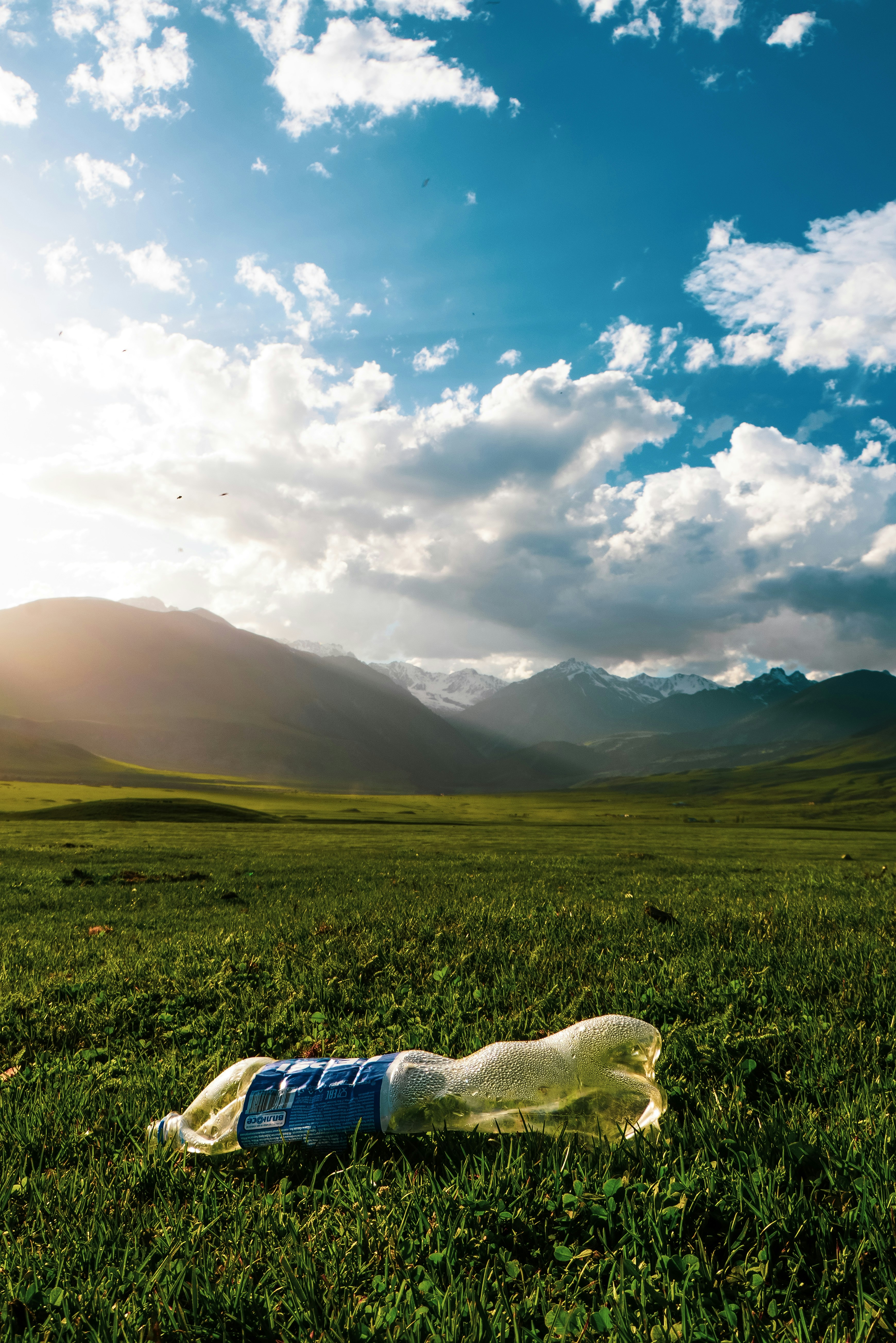 Light on the Meadow: A Lone Bottle in an Open Alpine Valley