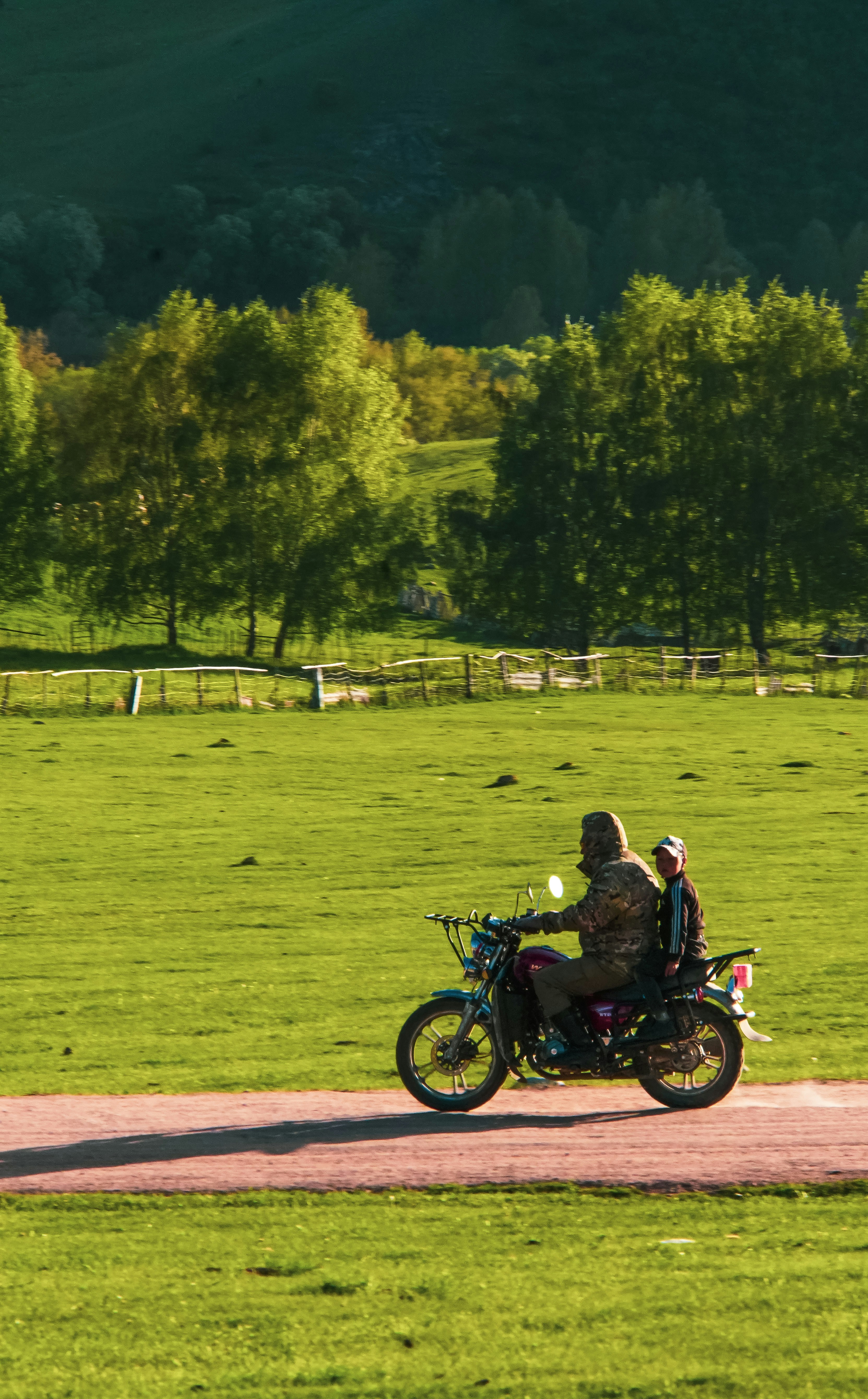 Emerald Lane: A Quiet Motorcycle Ride Through a Sunlit Meadow