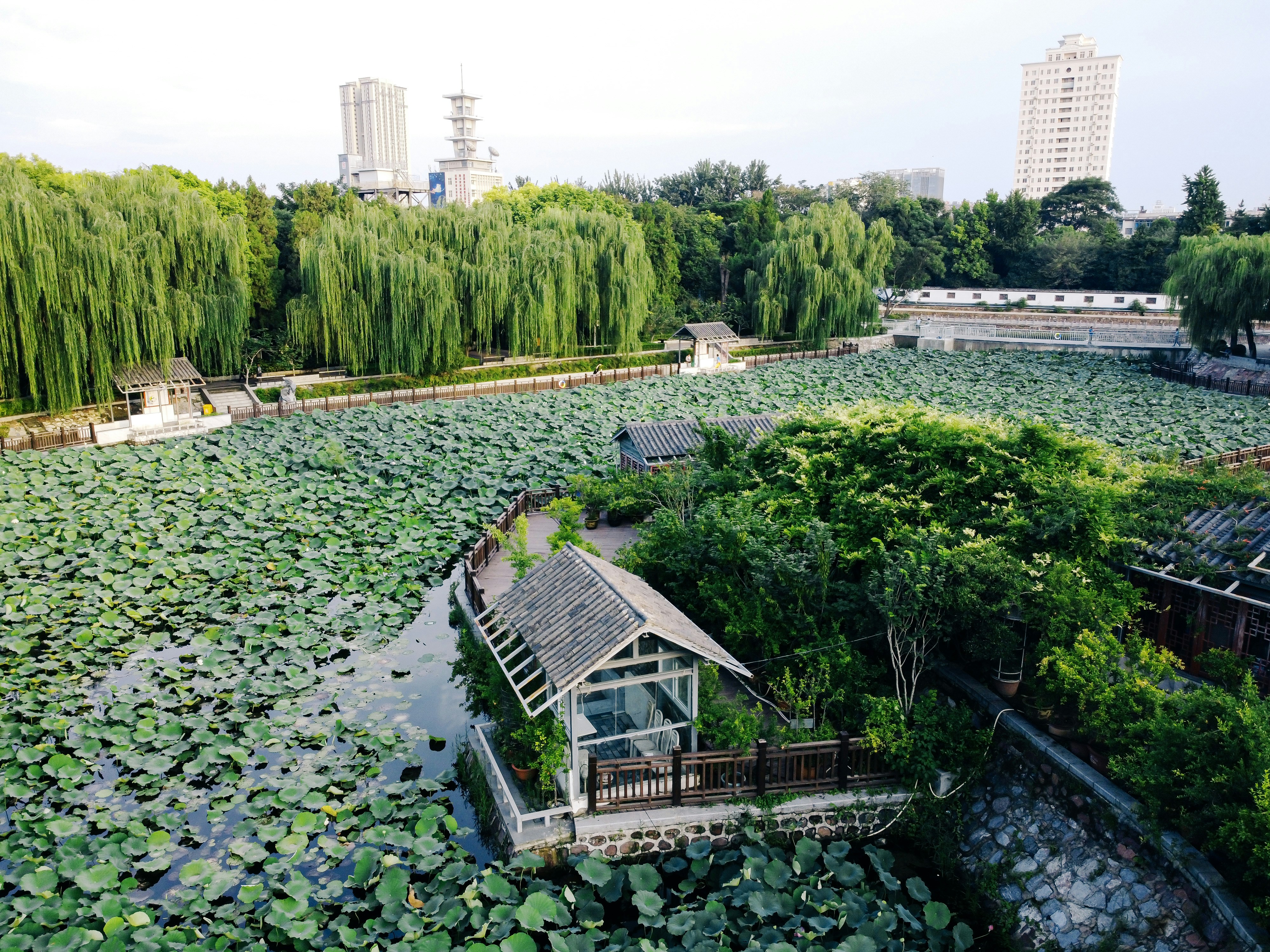 Photo by oo verthing with DJI Mavic Air