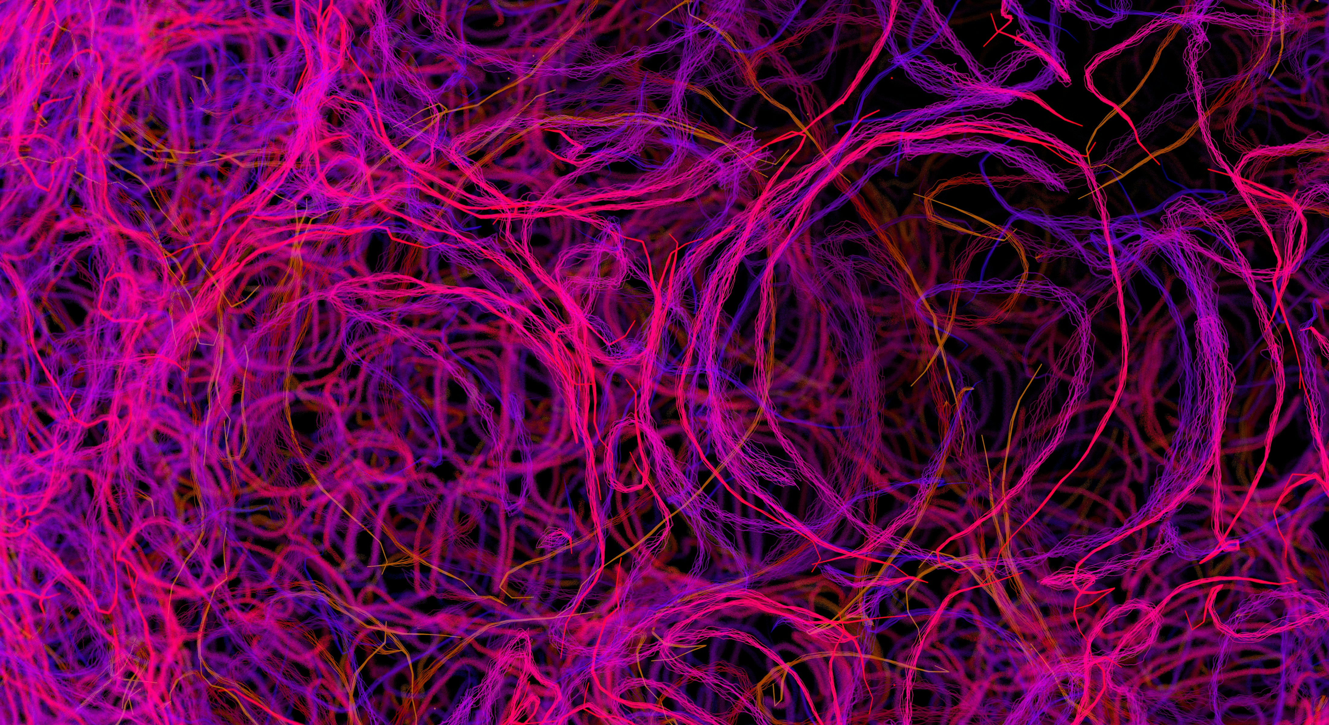 Un fondo morado con muchos círculos pequeños foto – Imagen de Morado ...