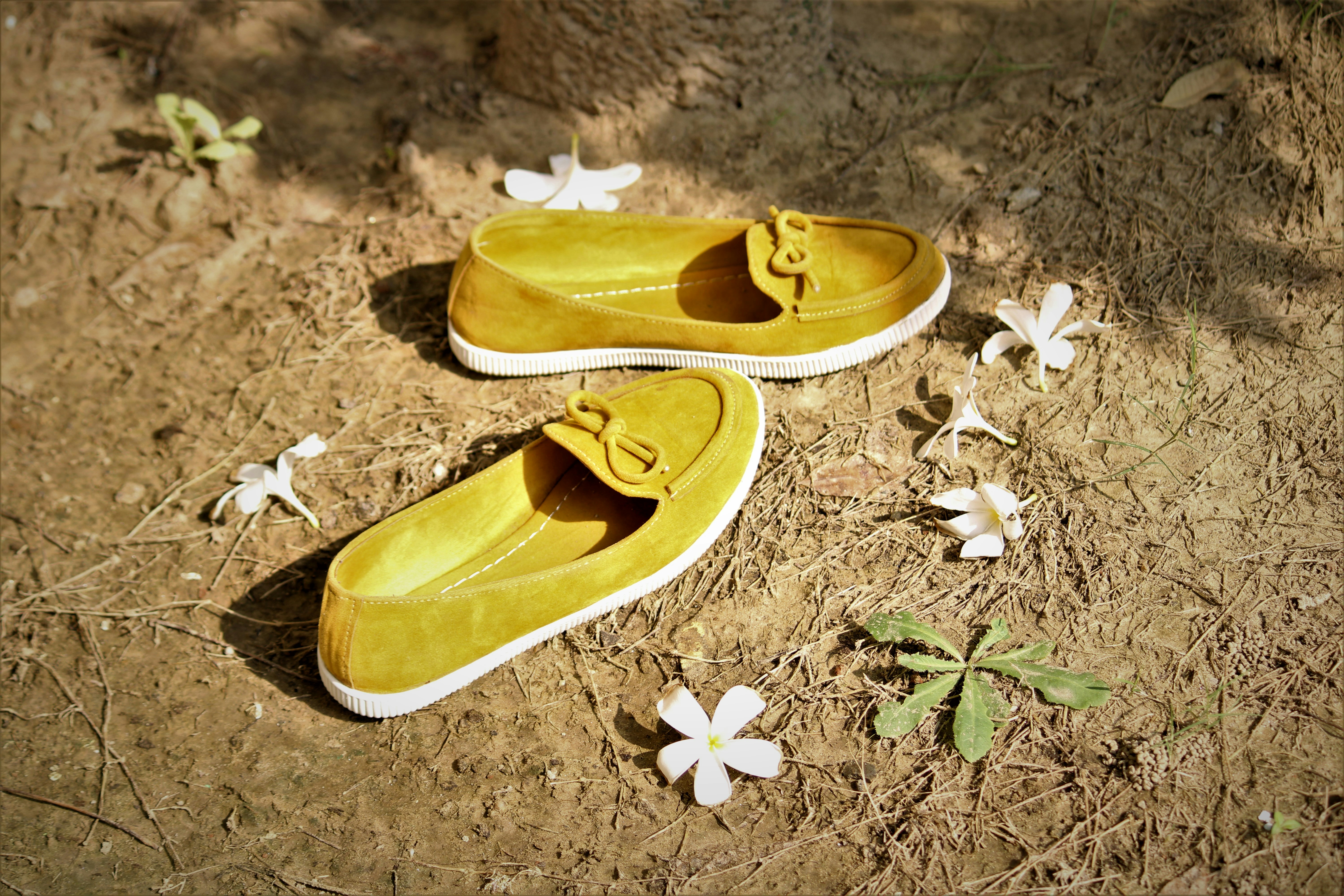 Photo by Shabeeba Ameen with Canon EOS 2000D