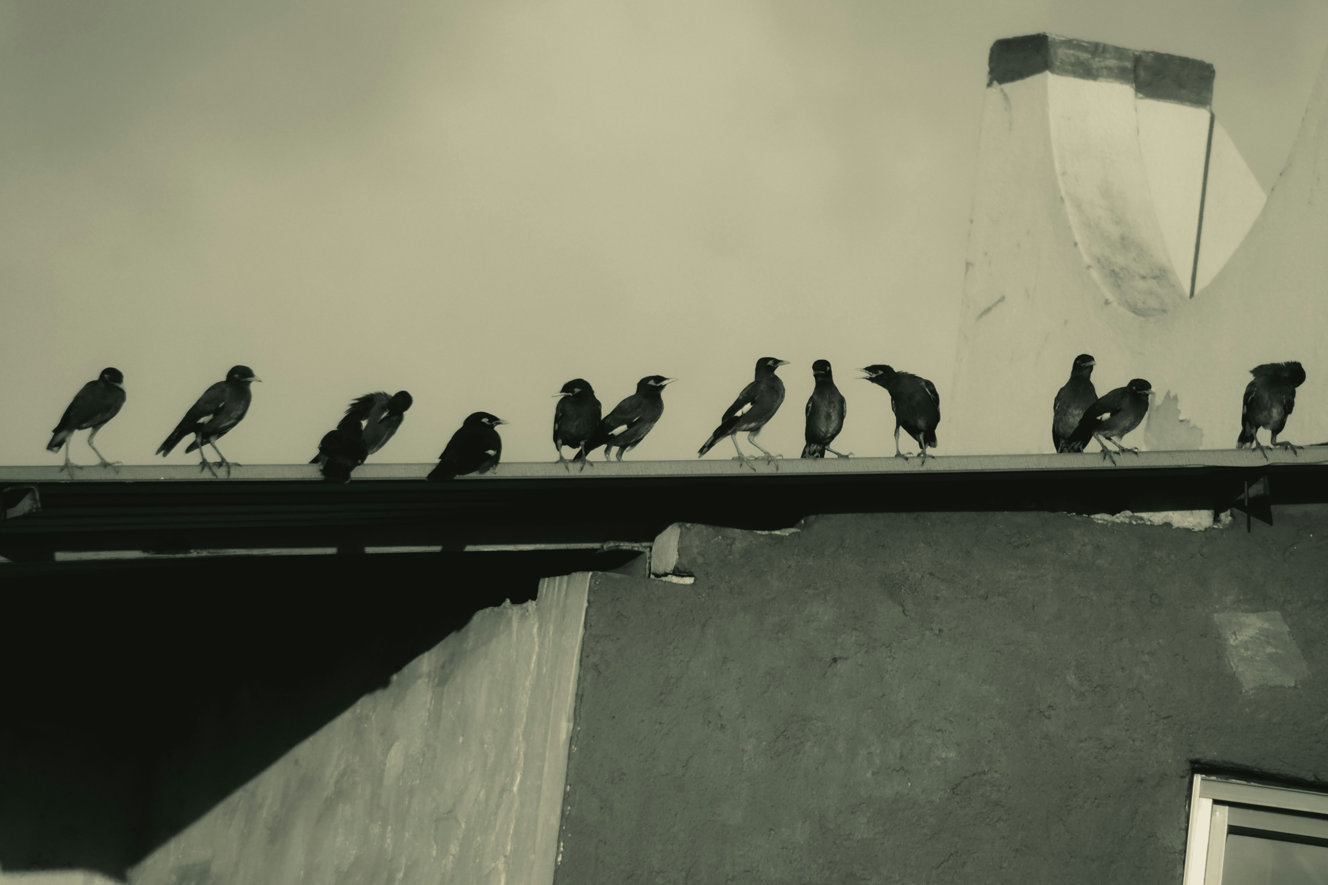 Rook Row on a Weathered Rooftop