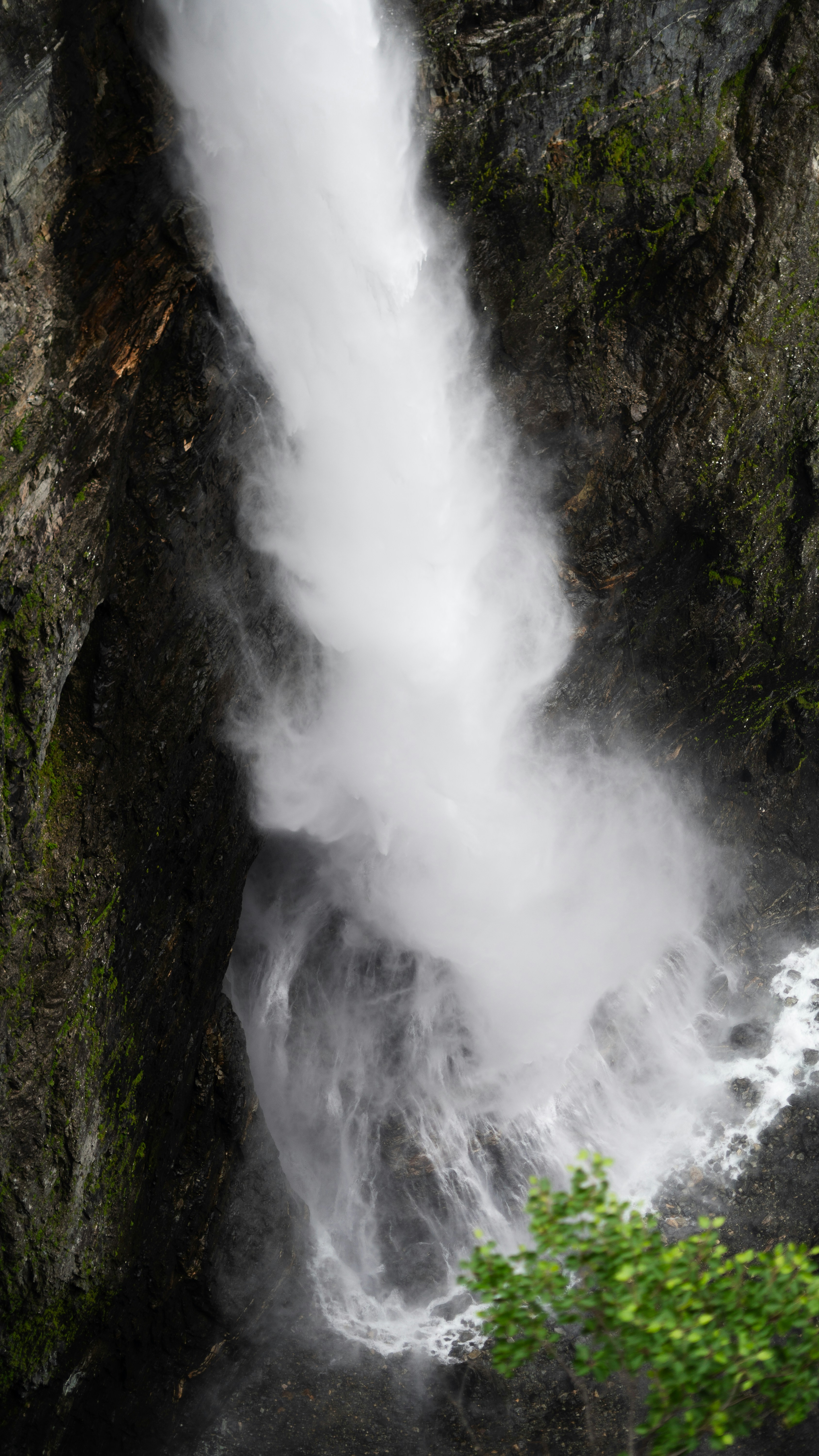 Photo by Bart van der Lugt with Sony Alpha 7 III