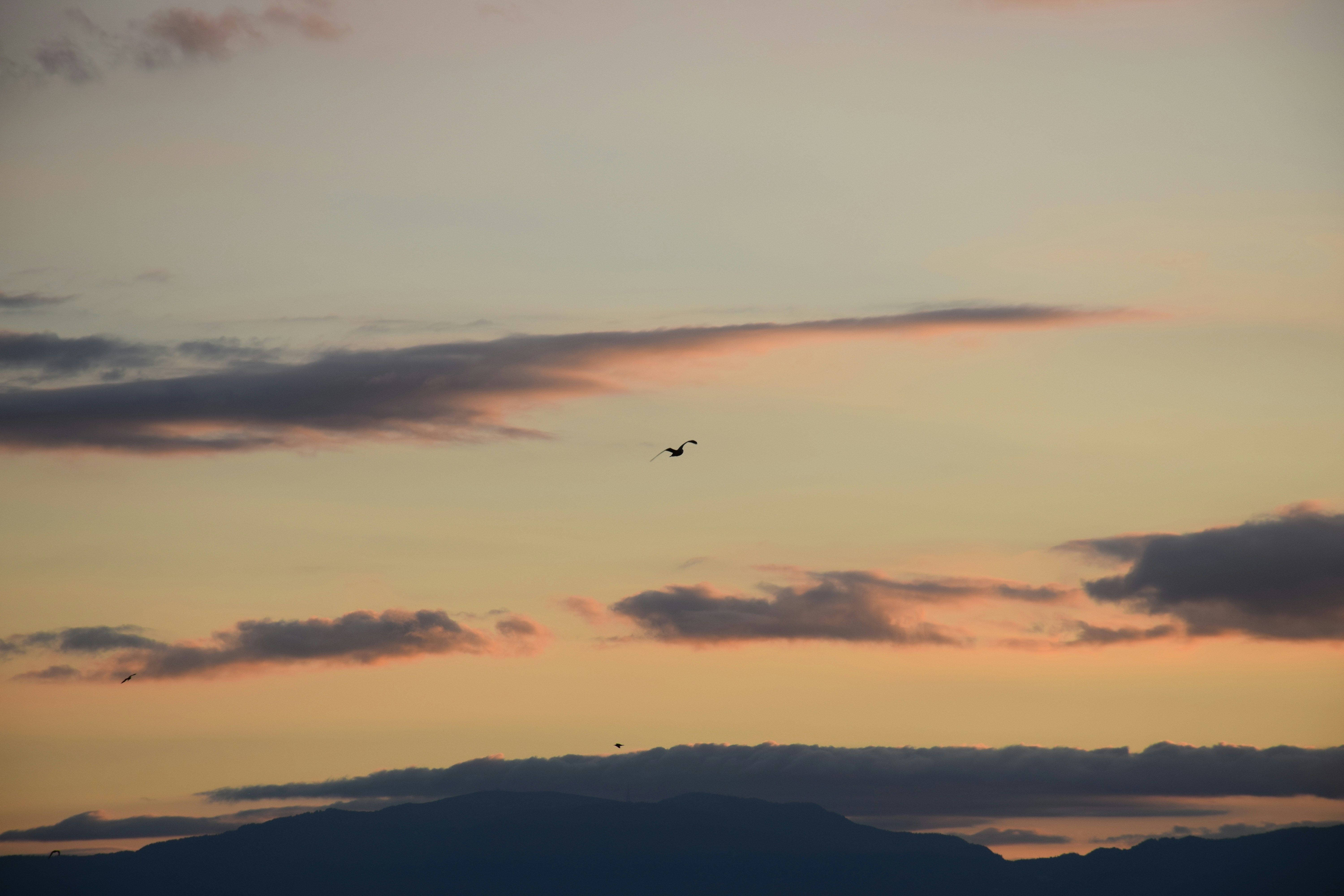 Photo by Julien Photo with Nikon D5300