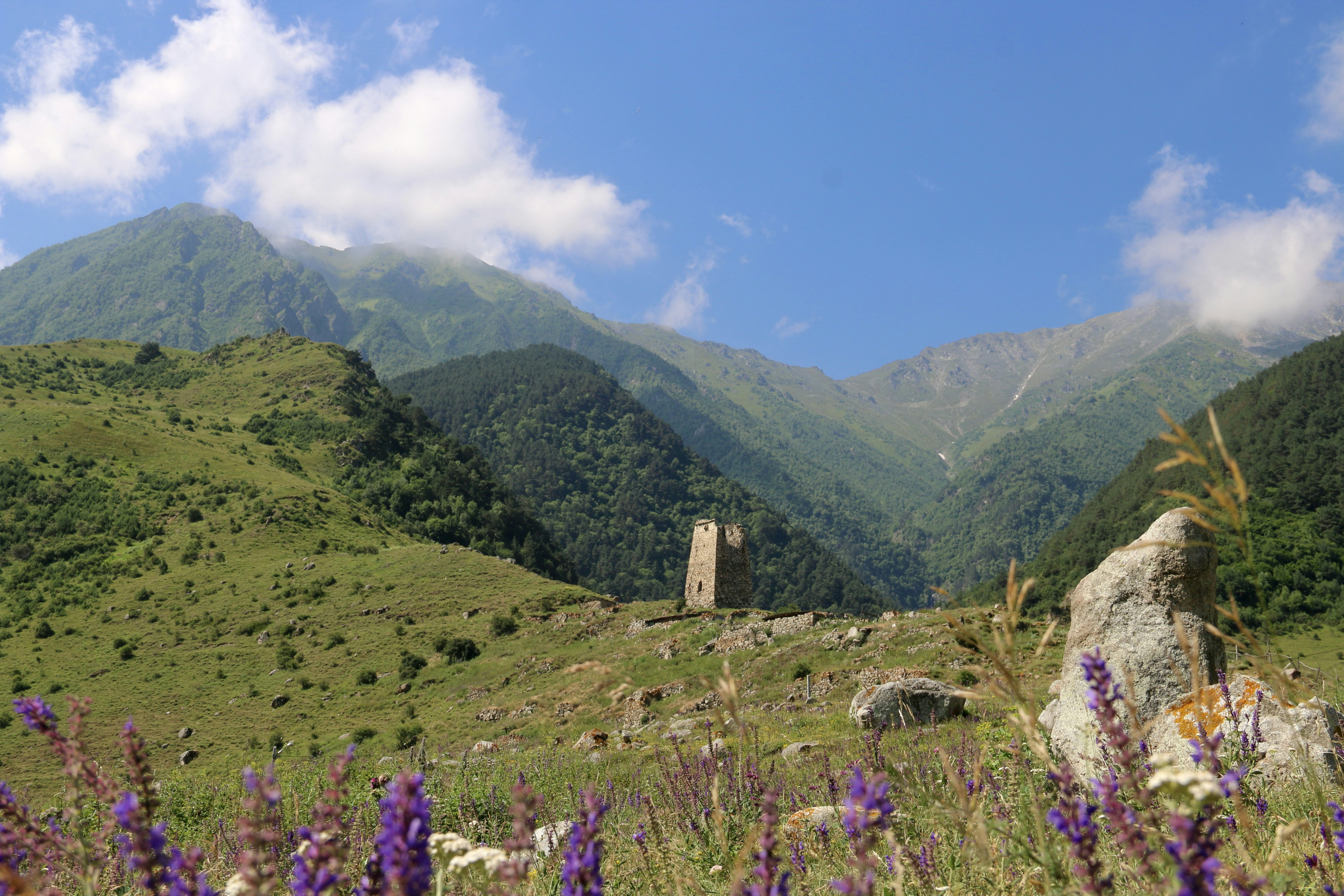 Stone Sentinel in a Lavender-Valley Beneath Alpine Skies