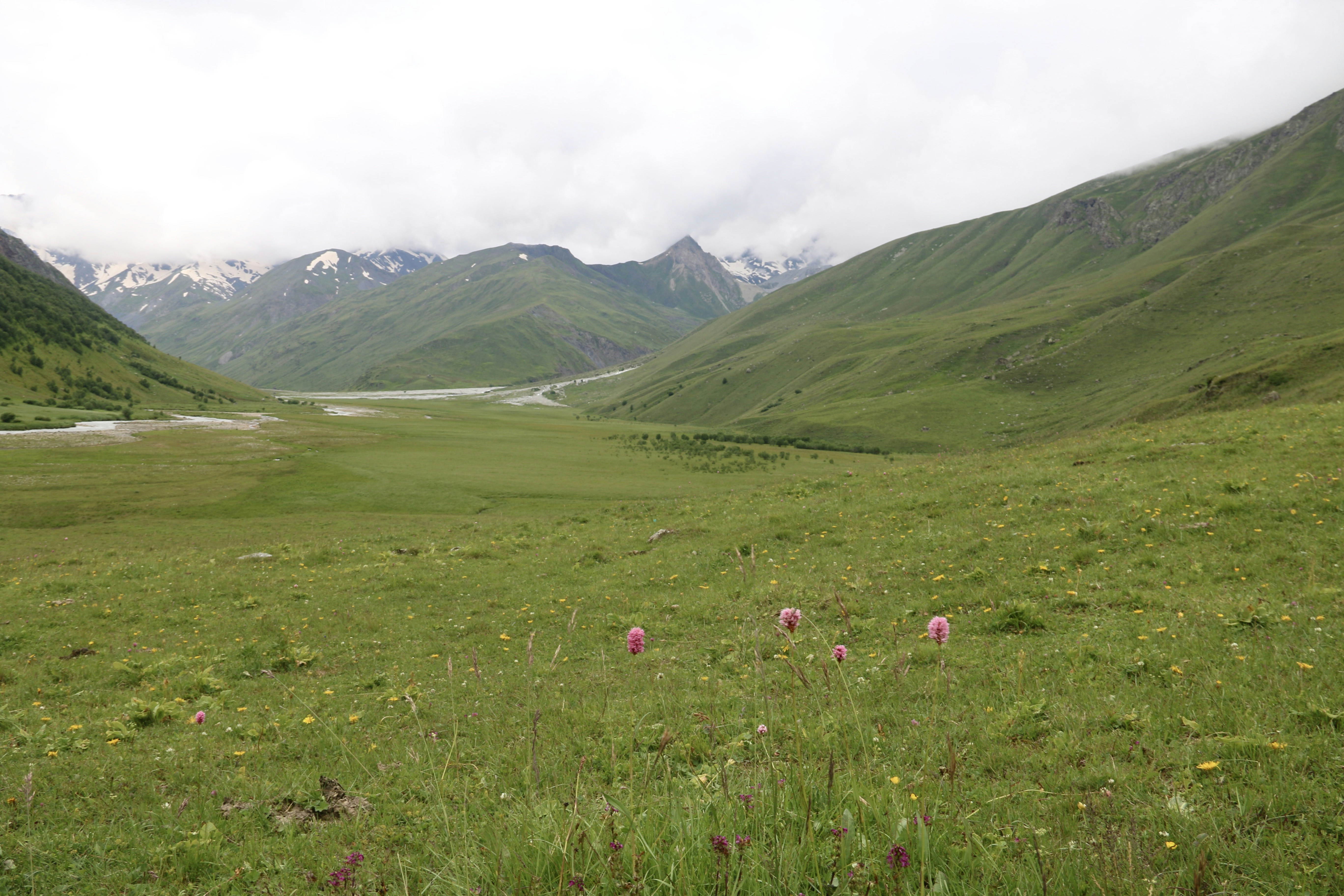 Photo by Polina Koroleva with Canon EOS 70D