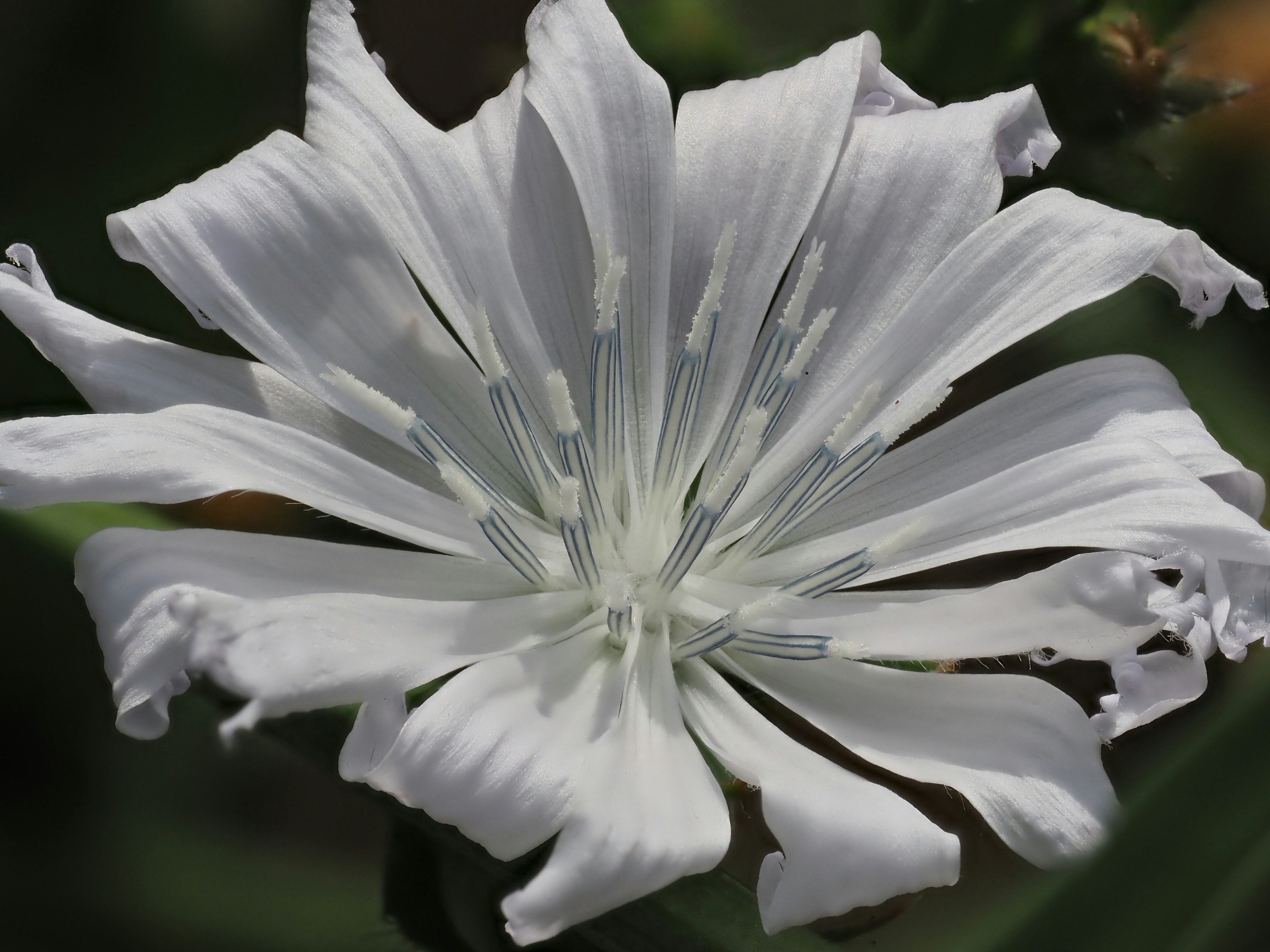 Sample photo from Olympus OM-D E-M1 Mark III